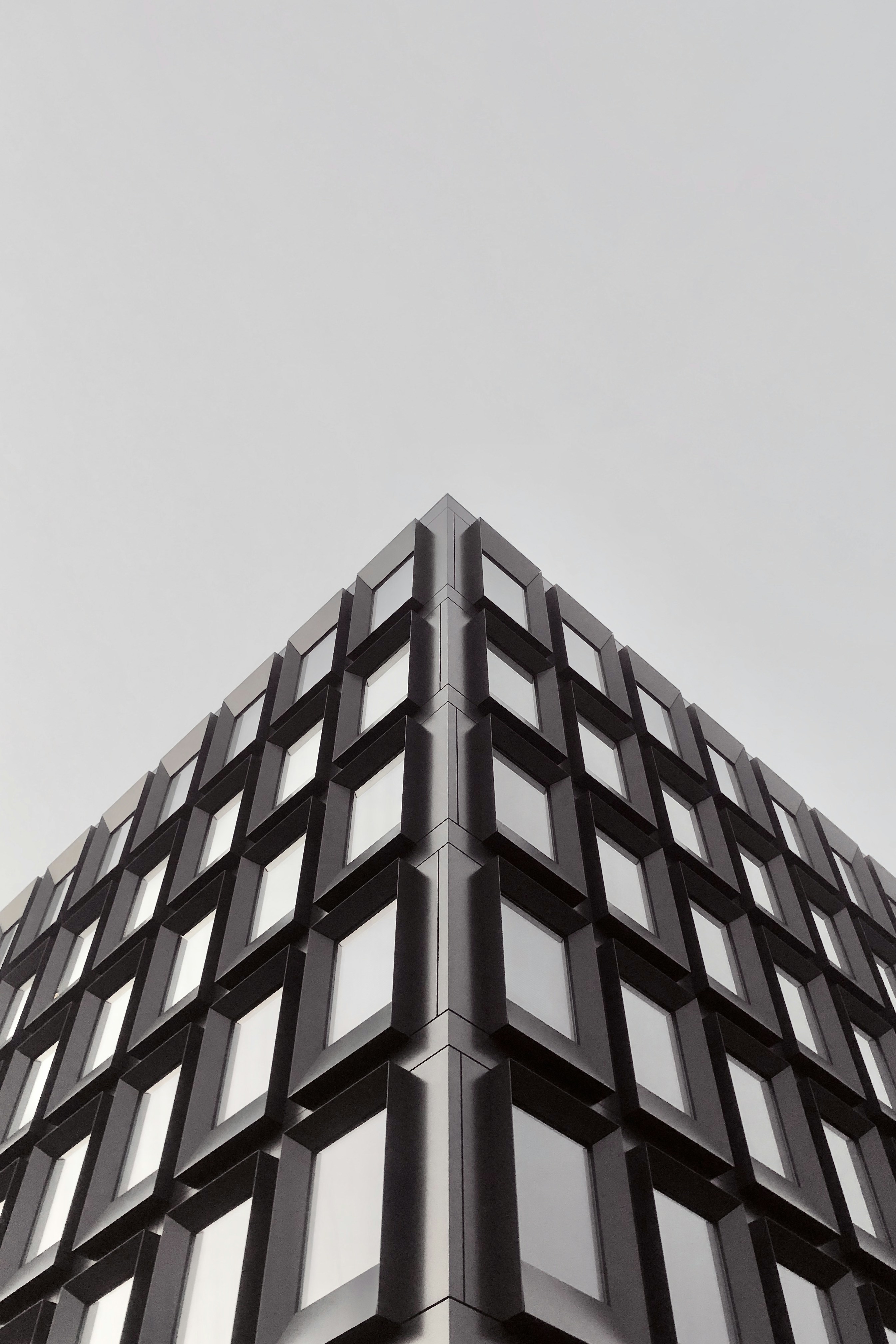 Cornered Grid: A Monochrome Facade in Perspective