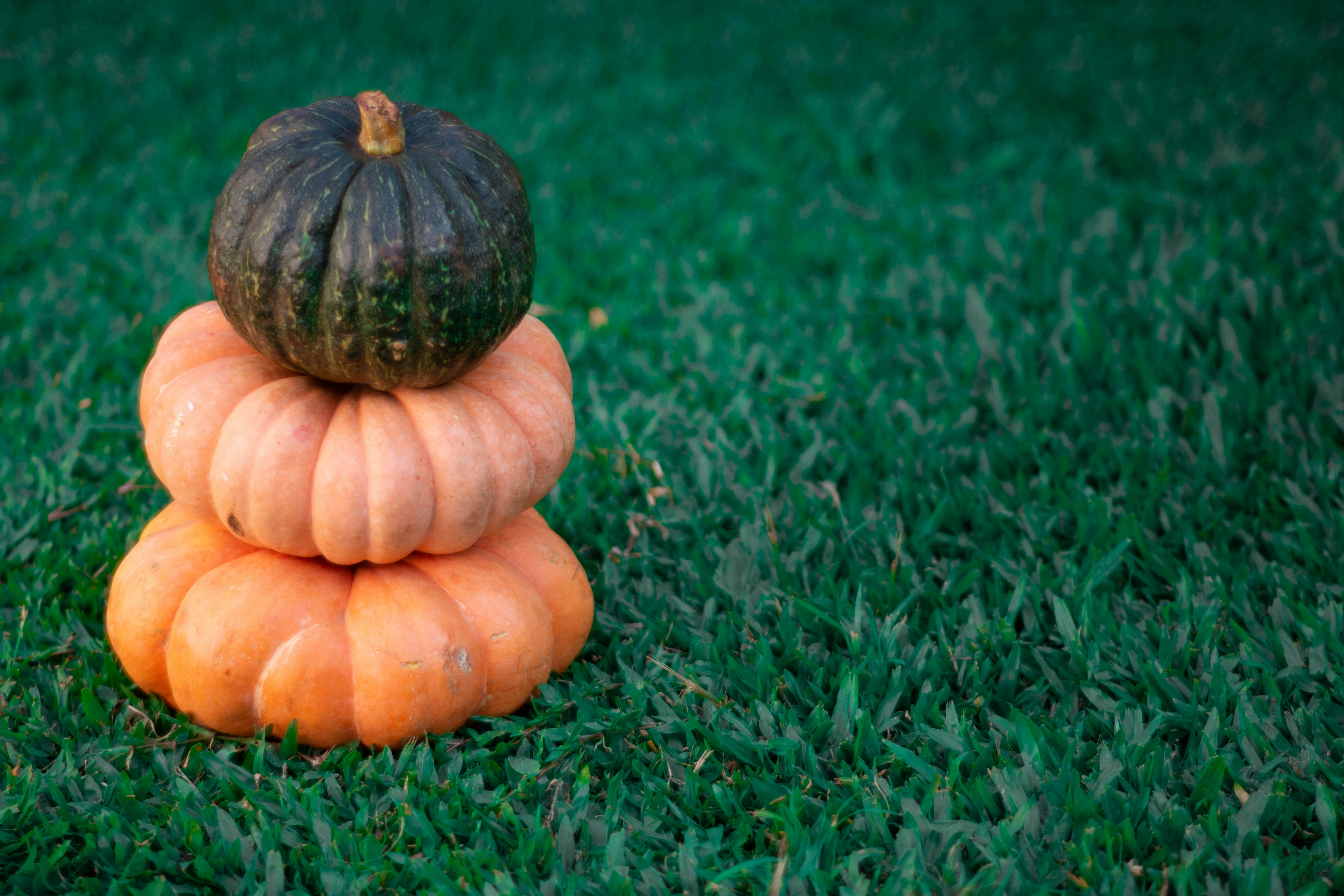Autumn Trio: A Small Pumpkin Tower on Lush Grass