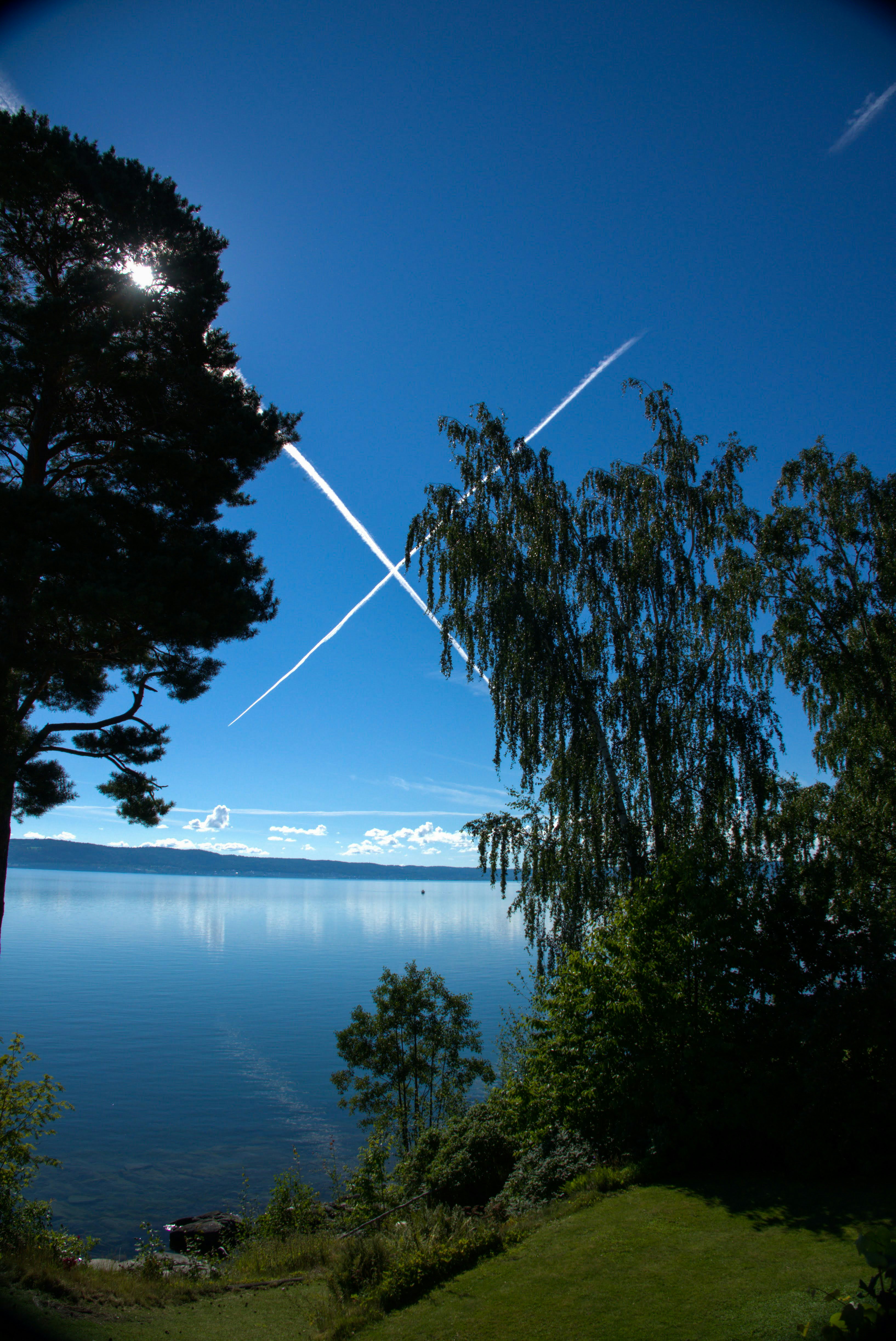 Sunlit Cross of Sky: Trees Framing a Mirror-Lake Vista
