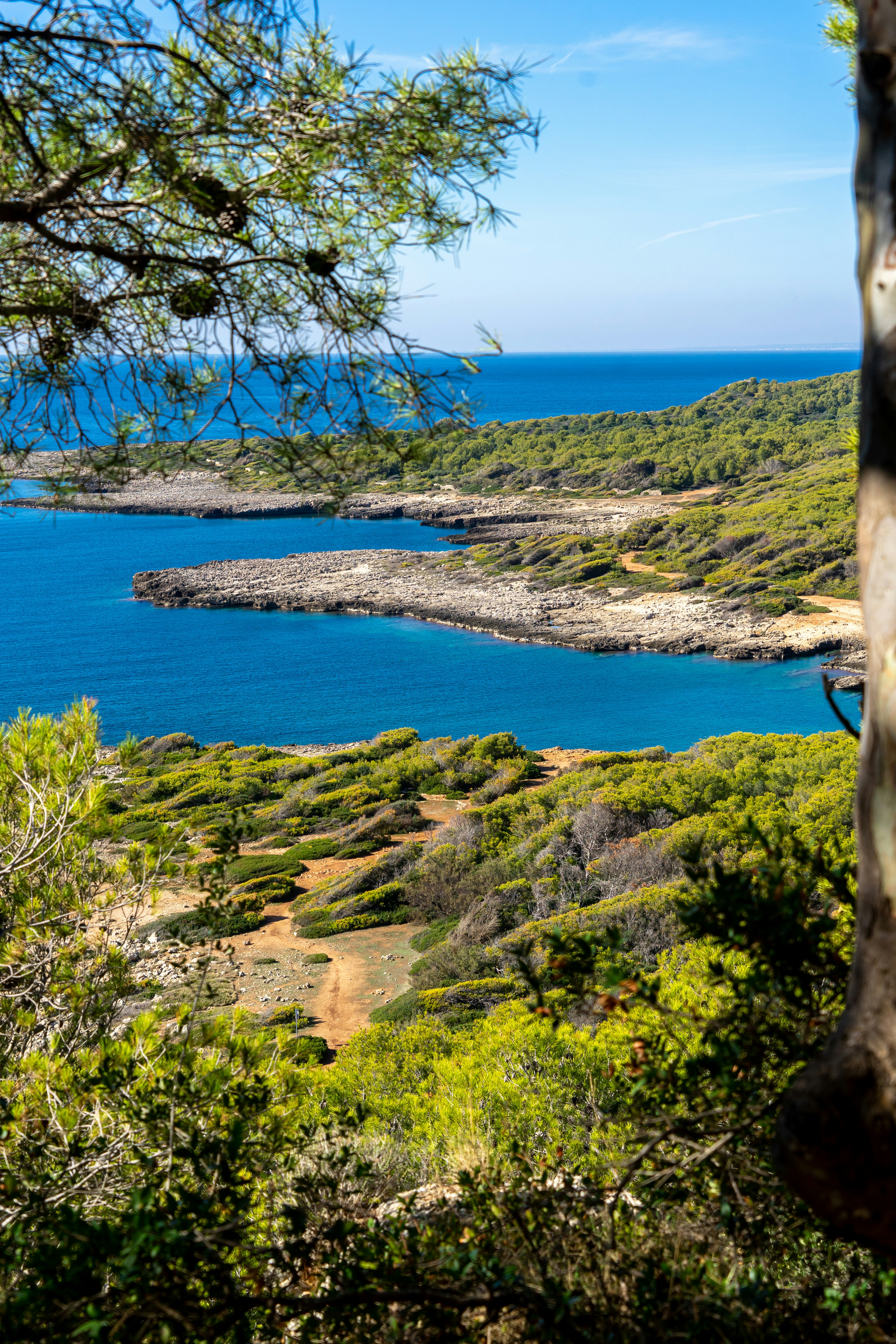 Lush greenery frames a tranquil coastal scene with azure waters and rocky shores under a clear sky.