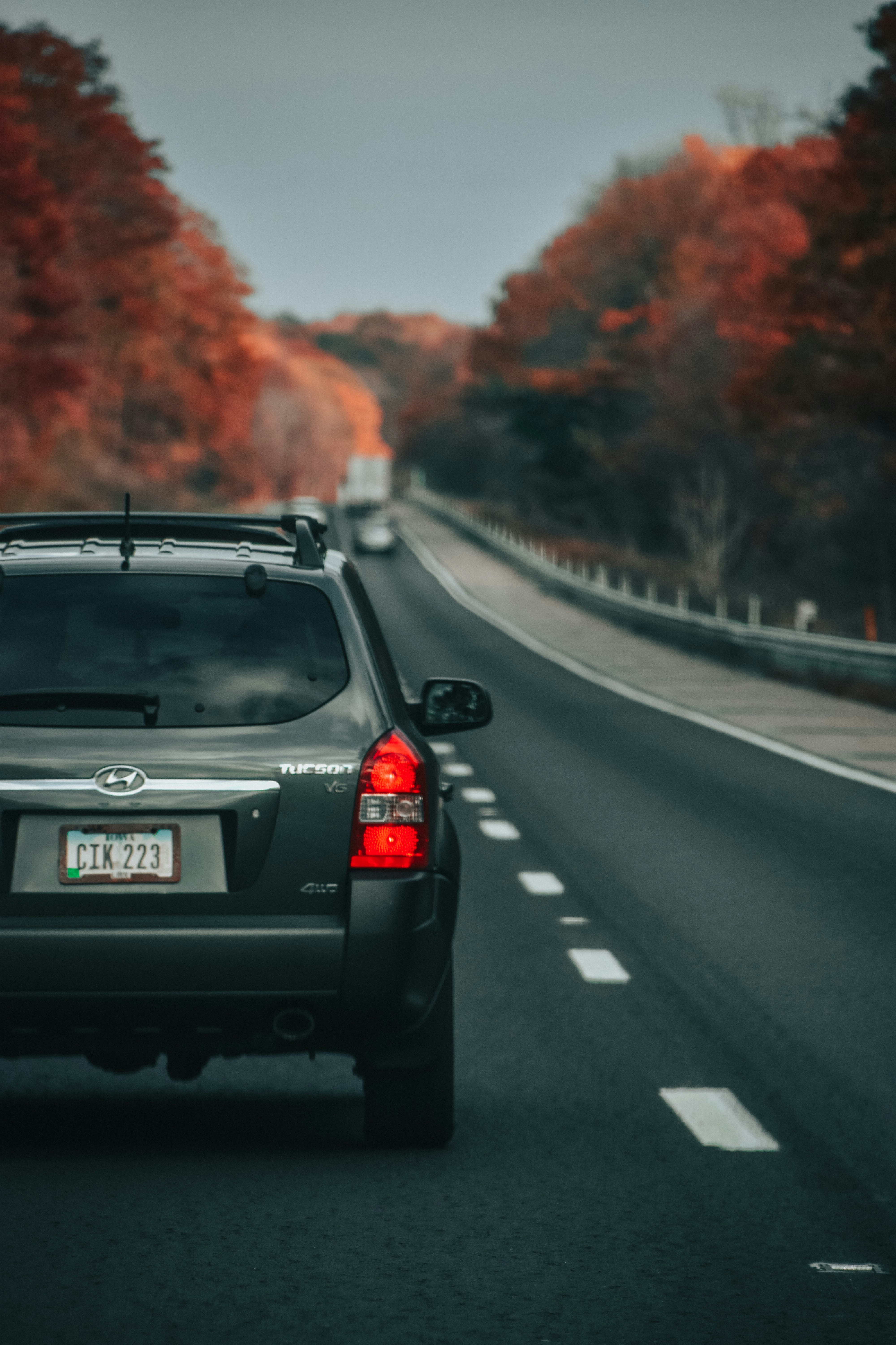 Tail Lights and Tree-lined Highway: A Quiet Drive Into Autumn Blur