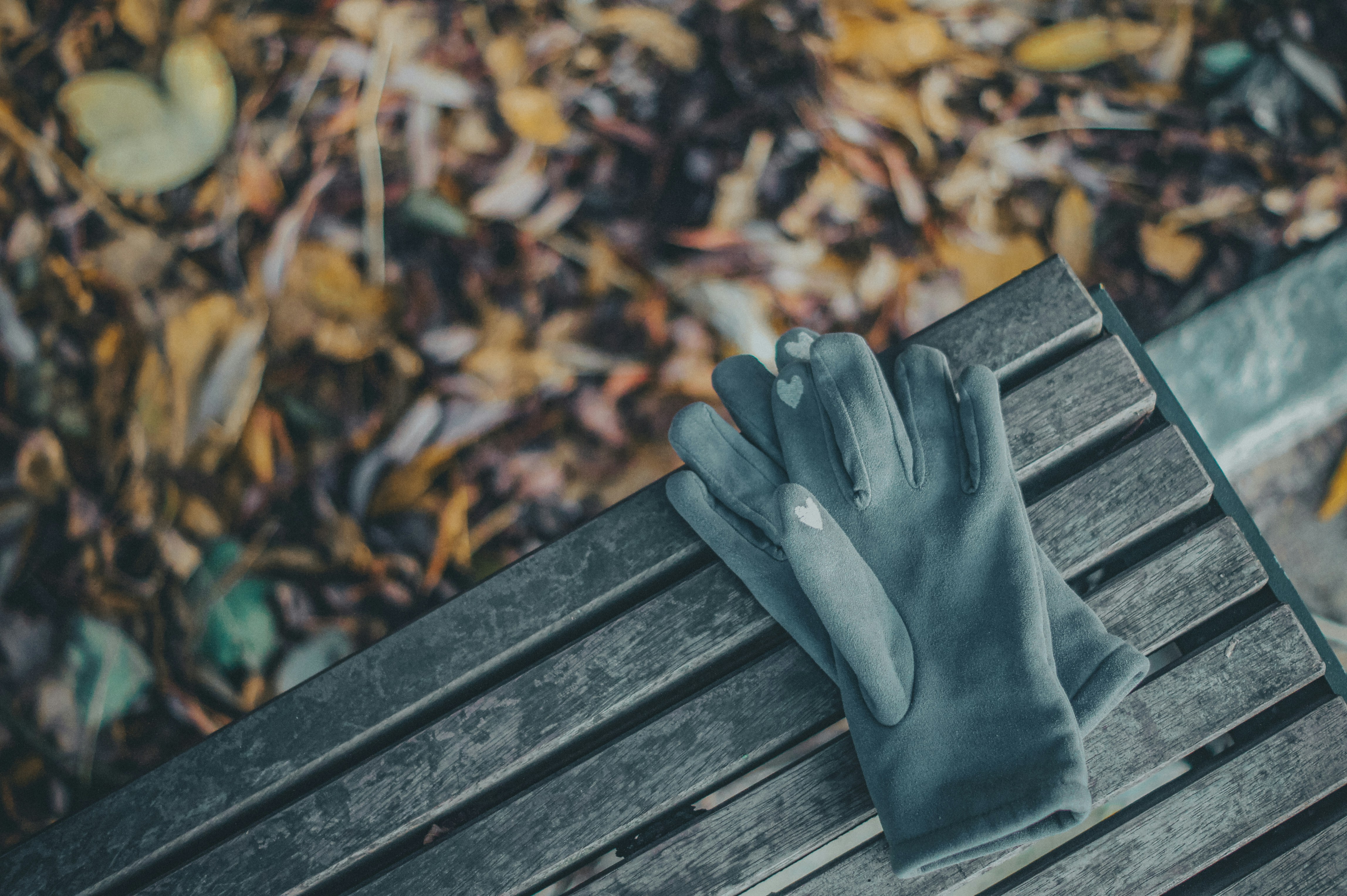 Autumn Interlude: Gloves on a Weathered Bench