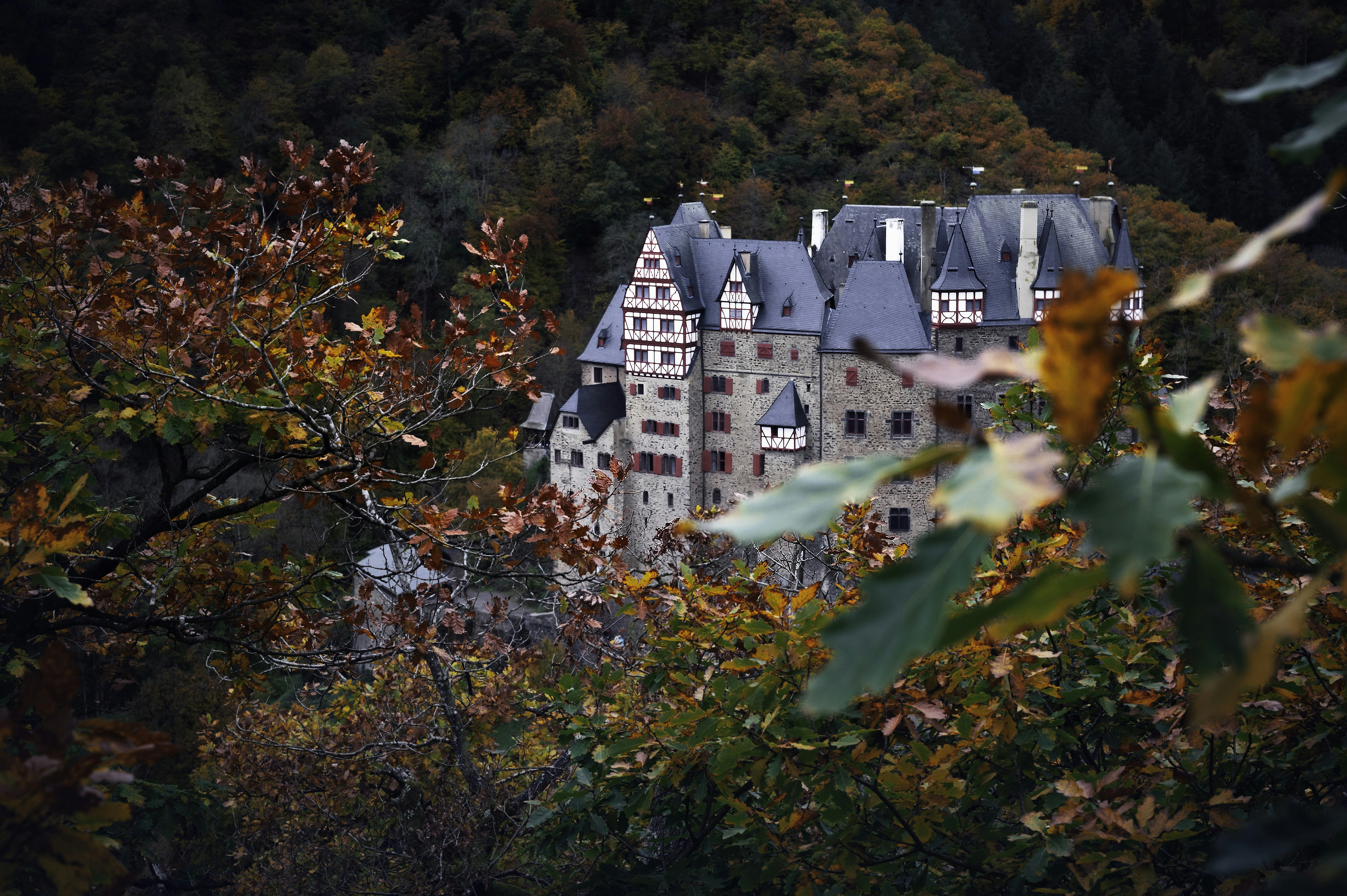 Autumn Veil Over the Stone Castle: A Framing of Foliage