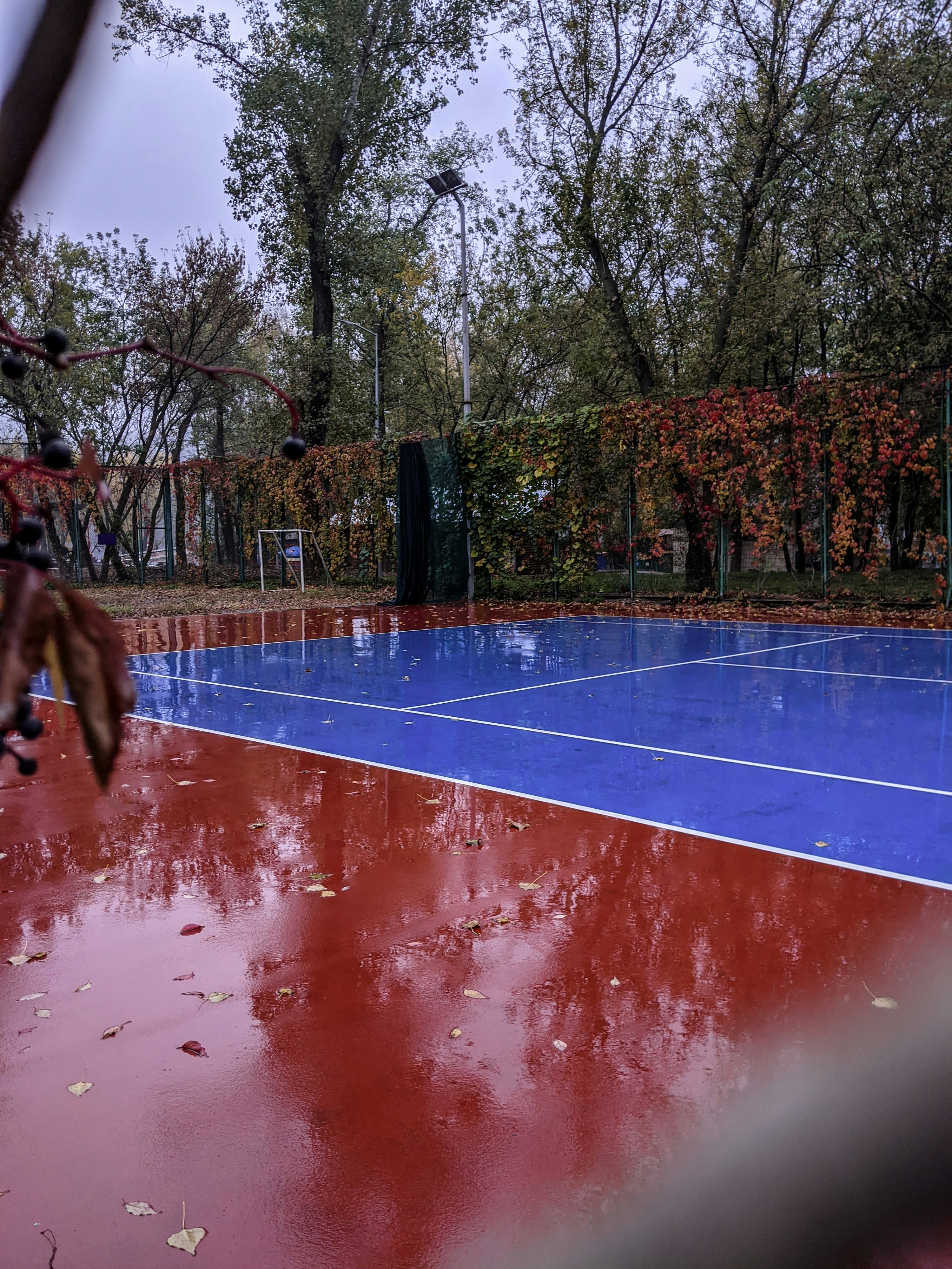 Rain on the Blue Court: Reflections, Autumn Foliage, and Quiet Park