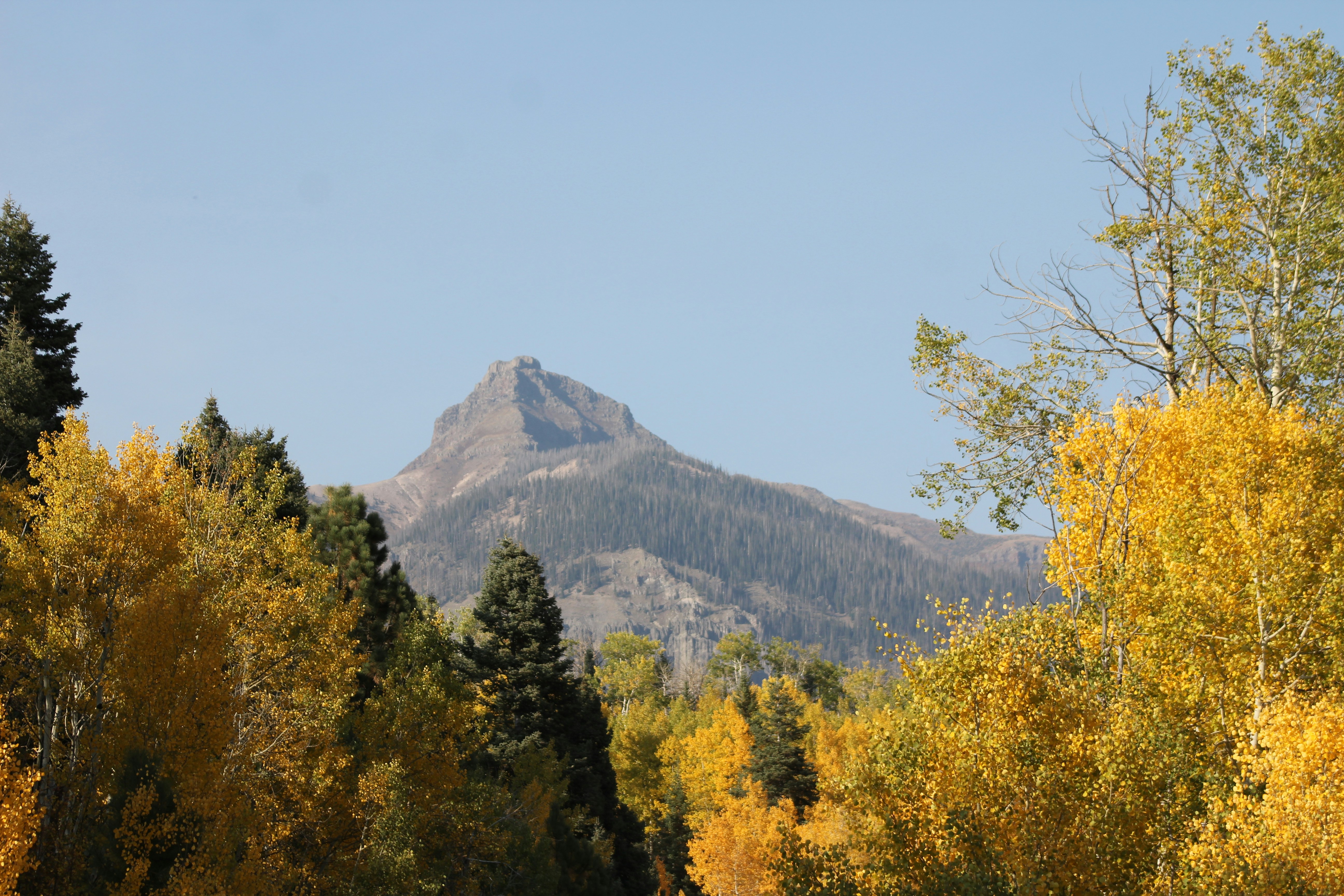 Vibrant autumn foliage frames a distant mountain peak under a clear blue sky. The scene captures the essence of fall in a serene natural landscape.