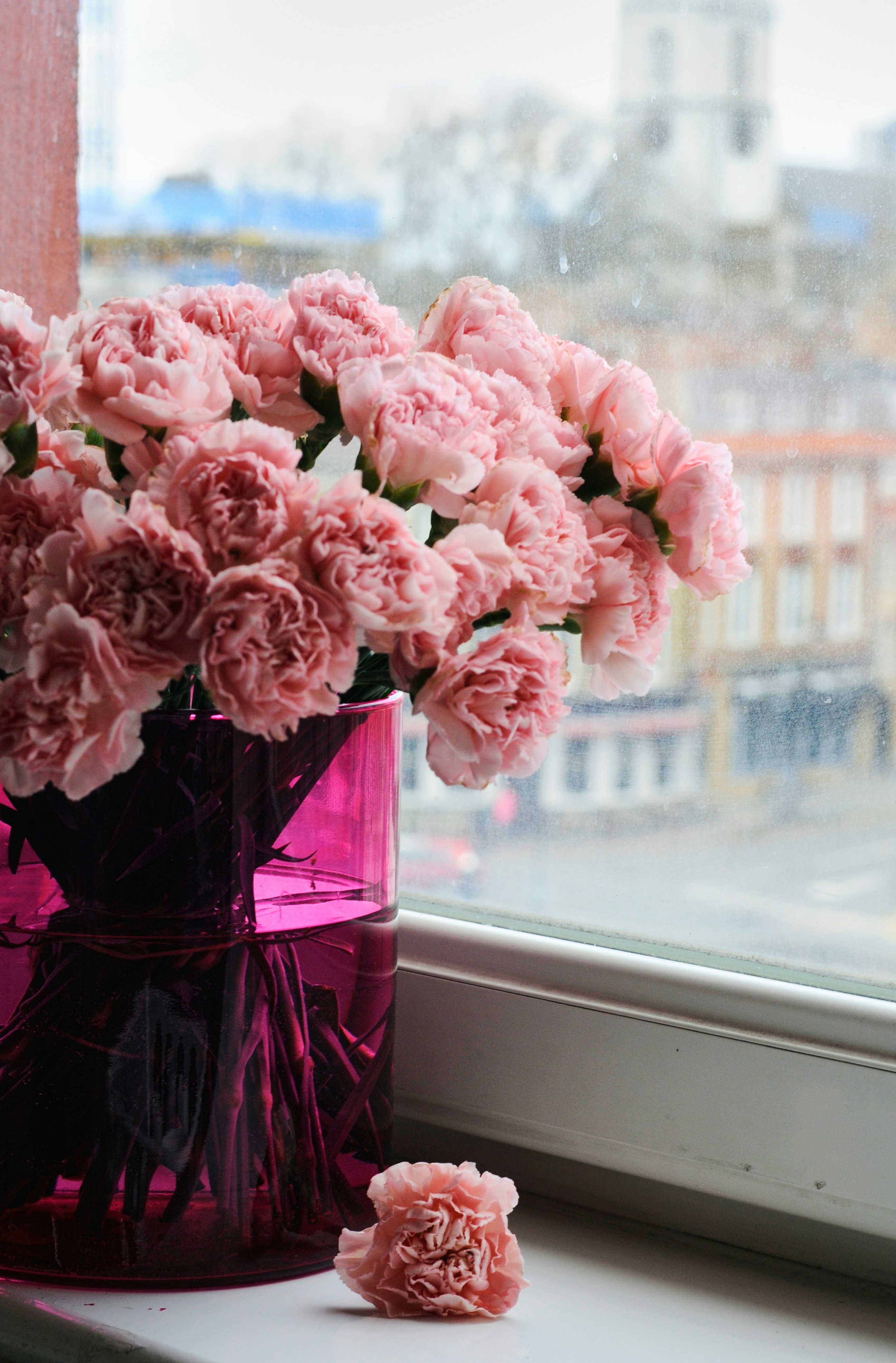 Pink Peonies in a Glass Vase by a Fogged Window