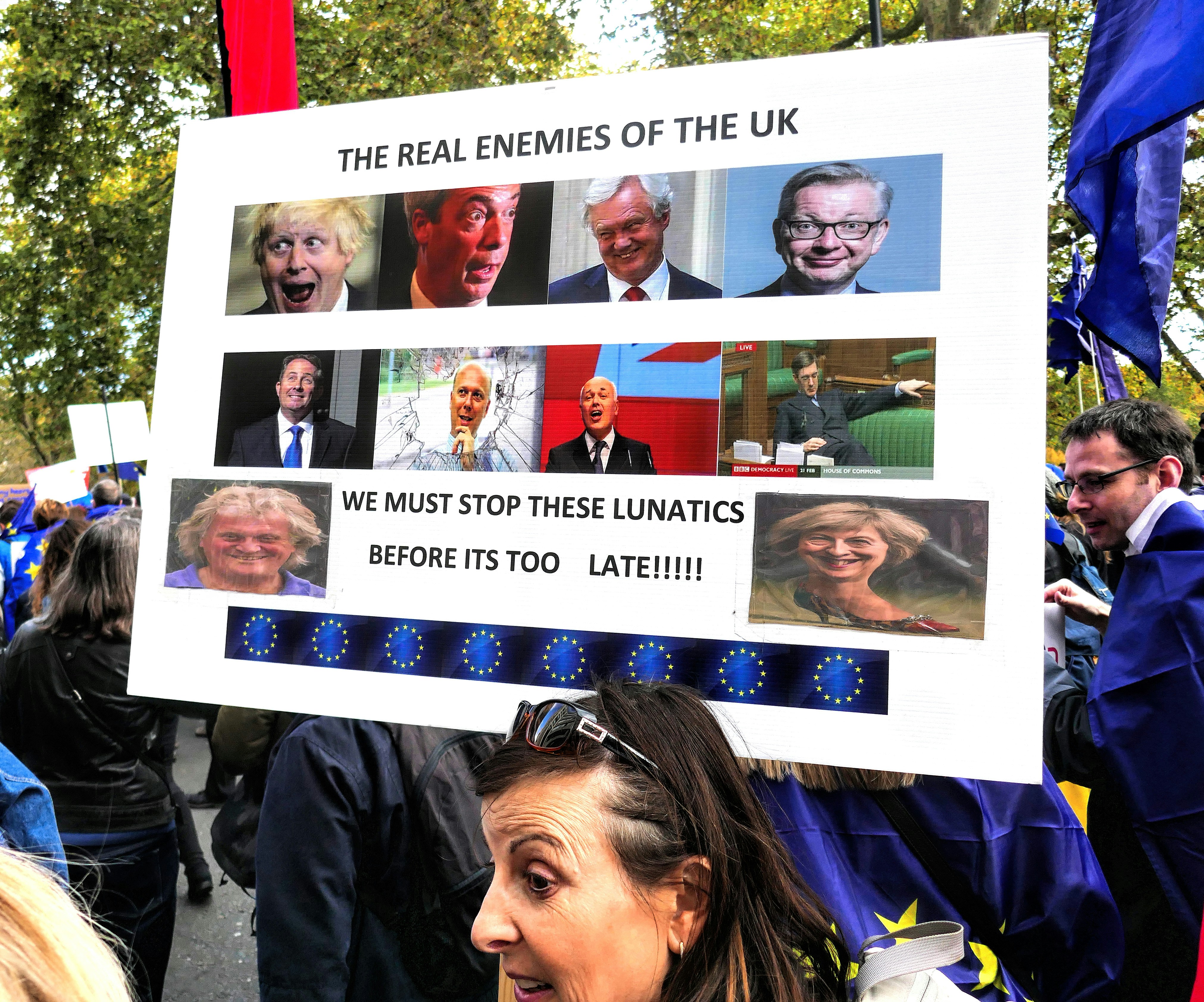 Protest sign featuring caricatures of political figures with a message urging action against perceived threats to the UK. The scene captures the spirit of public protest.