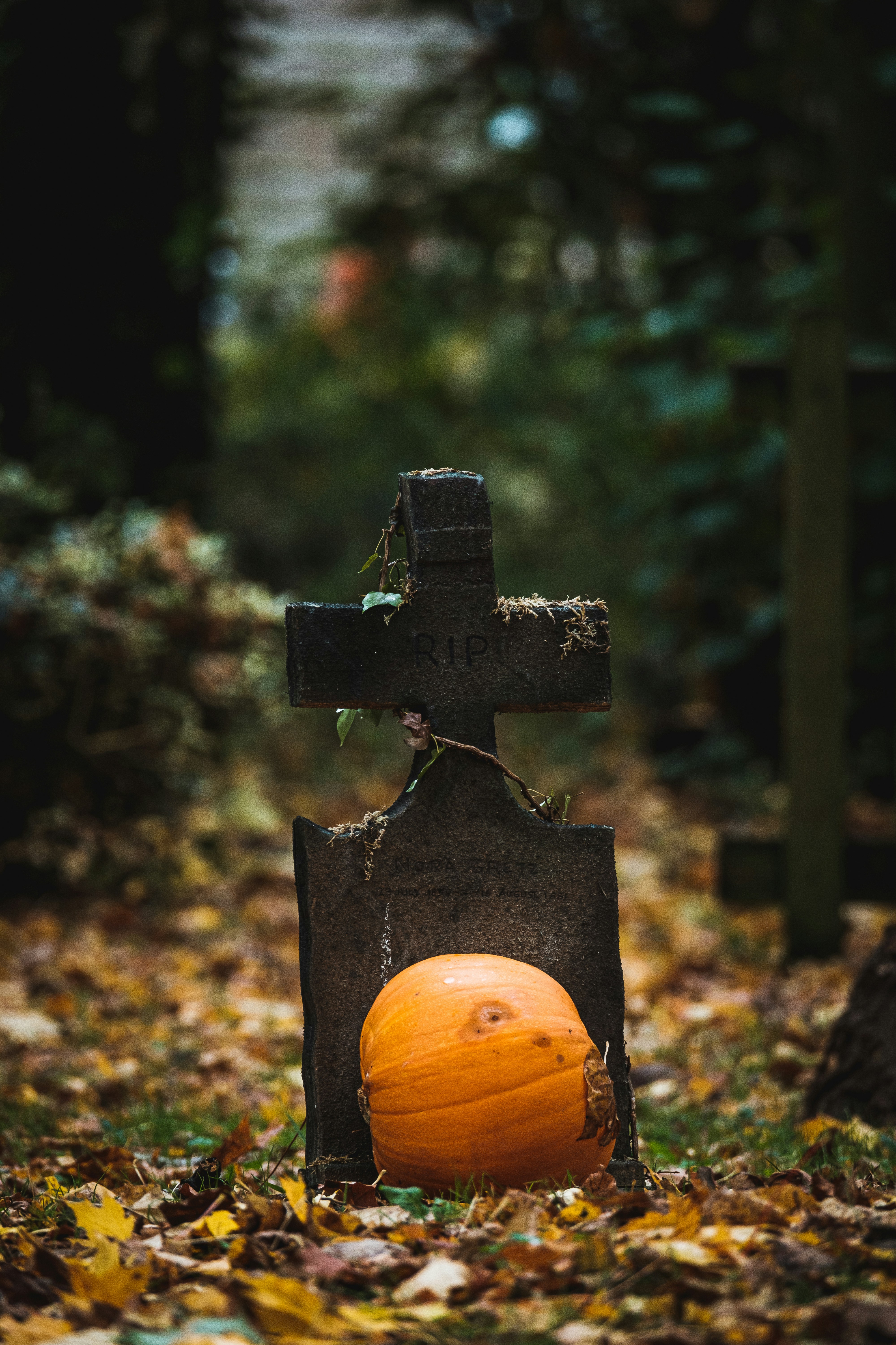 Pumpkin at the Cross: An Autumn Vigil in the Cemetery