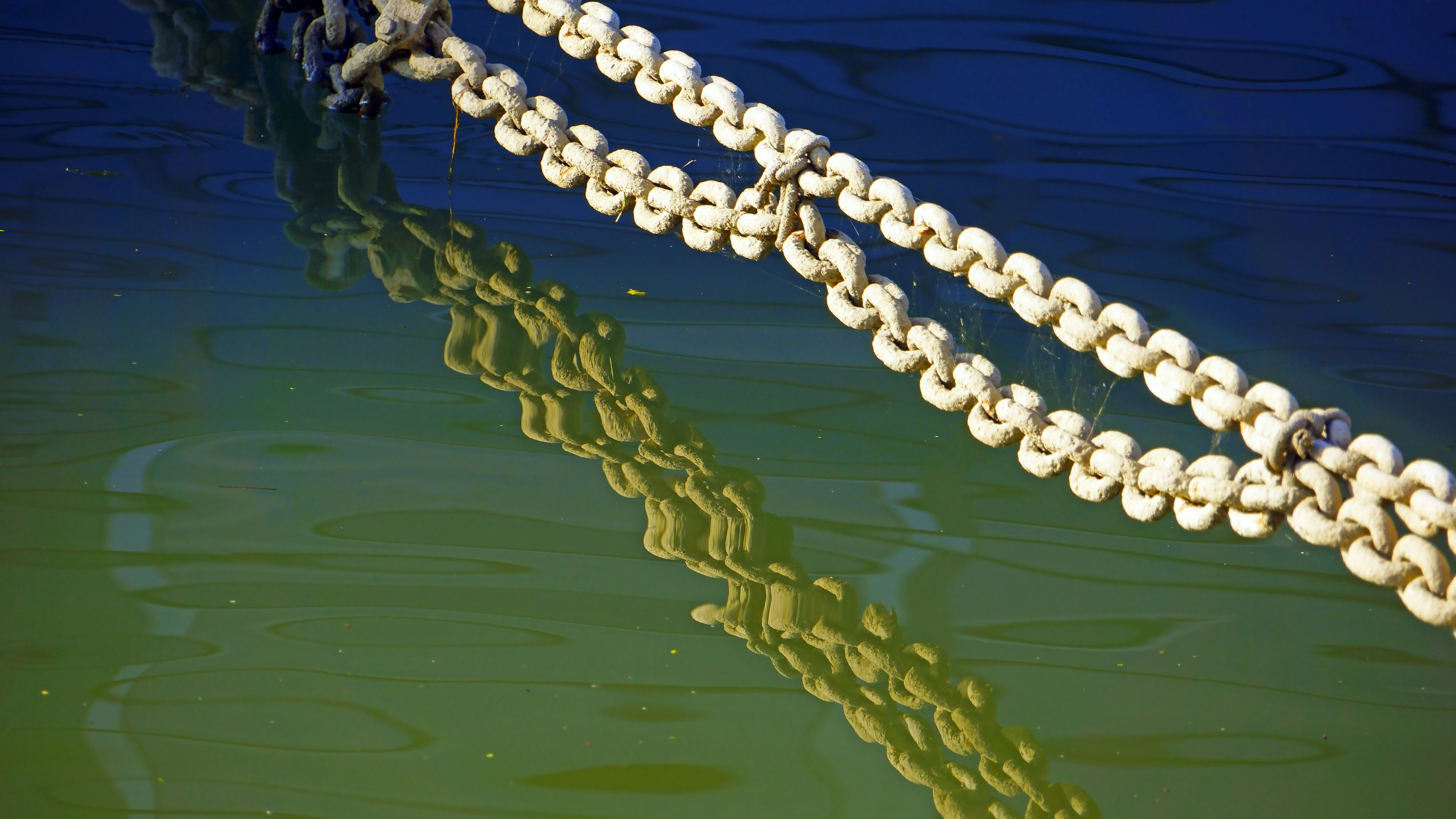 A thick, white chain partially submerged in water, casting a clear reflection on the surface, surrounded by varying shades of green and blue.