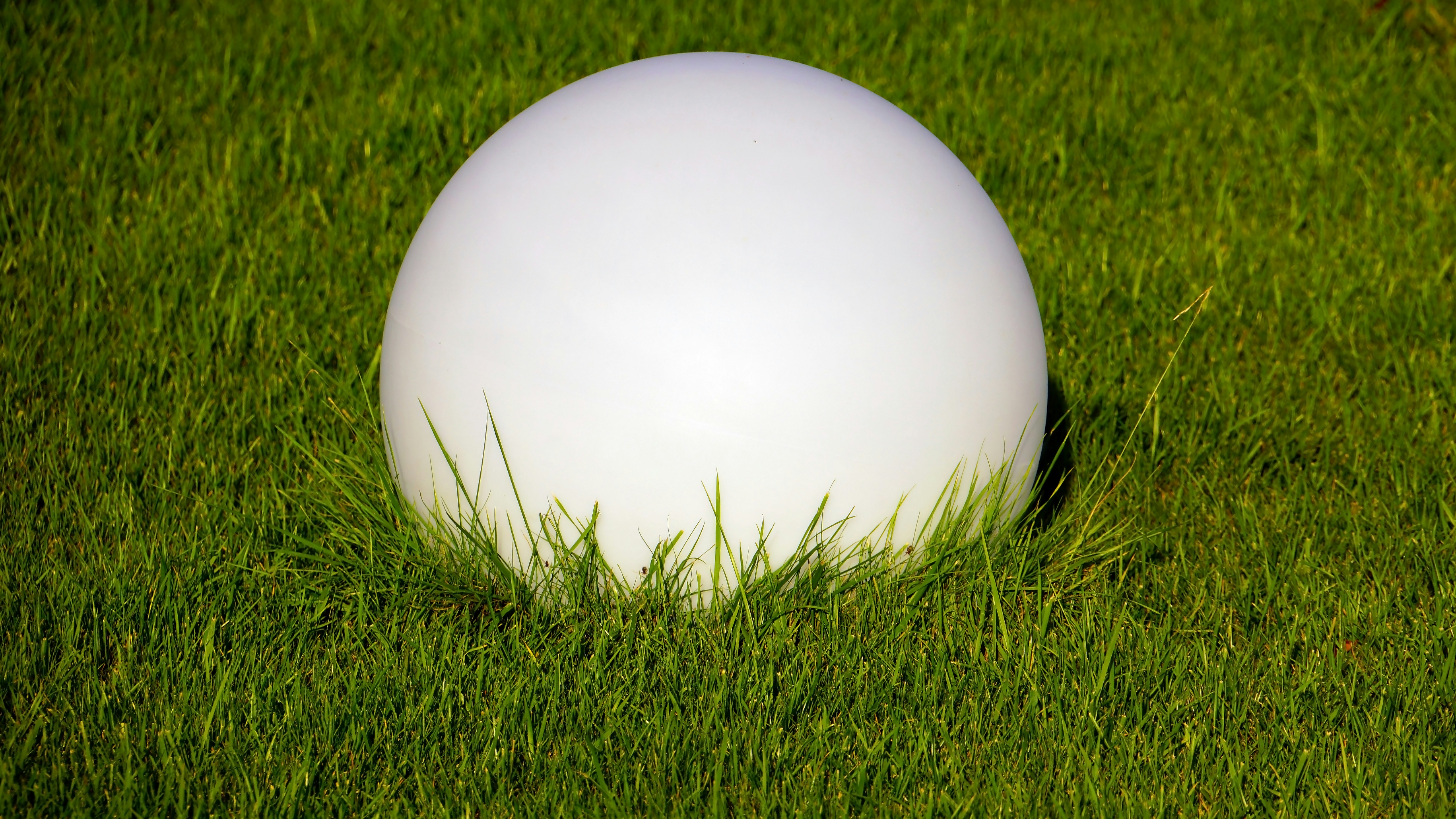 A smooth white sphere nestled in vibrant green grass, showcasing a harmonious blend of artificial and natural elements.