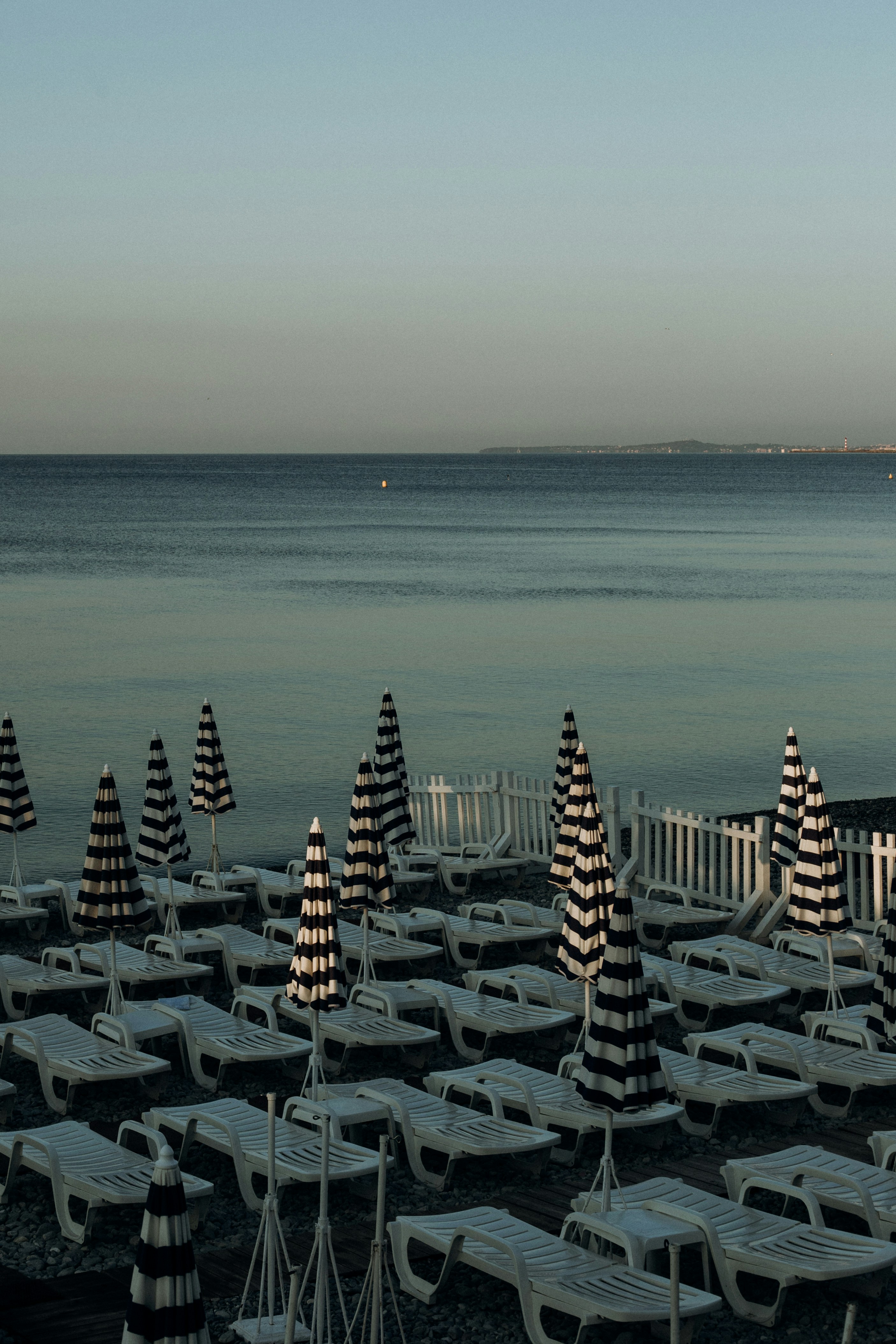 Checkerboard Canopies Along a Tranquil Seaside