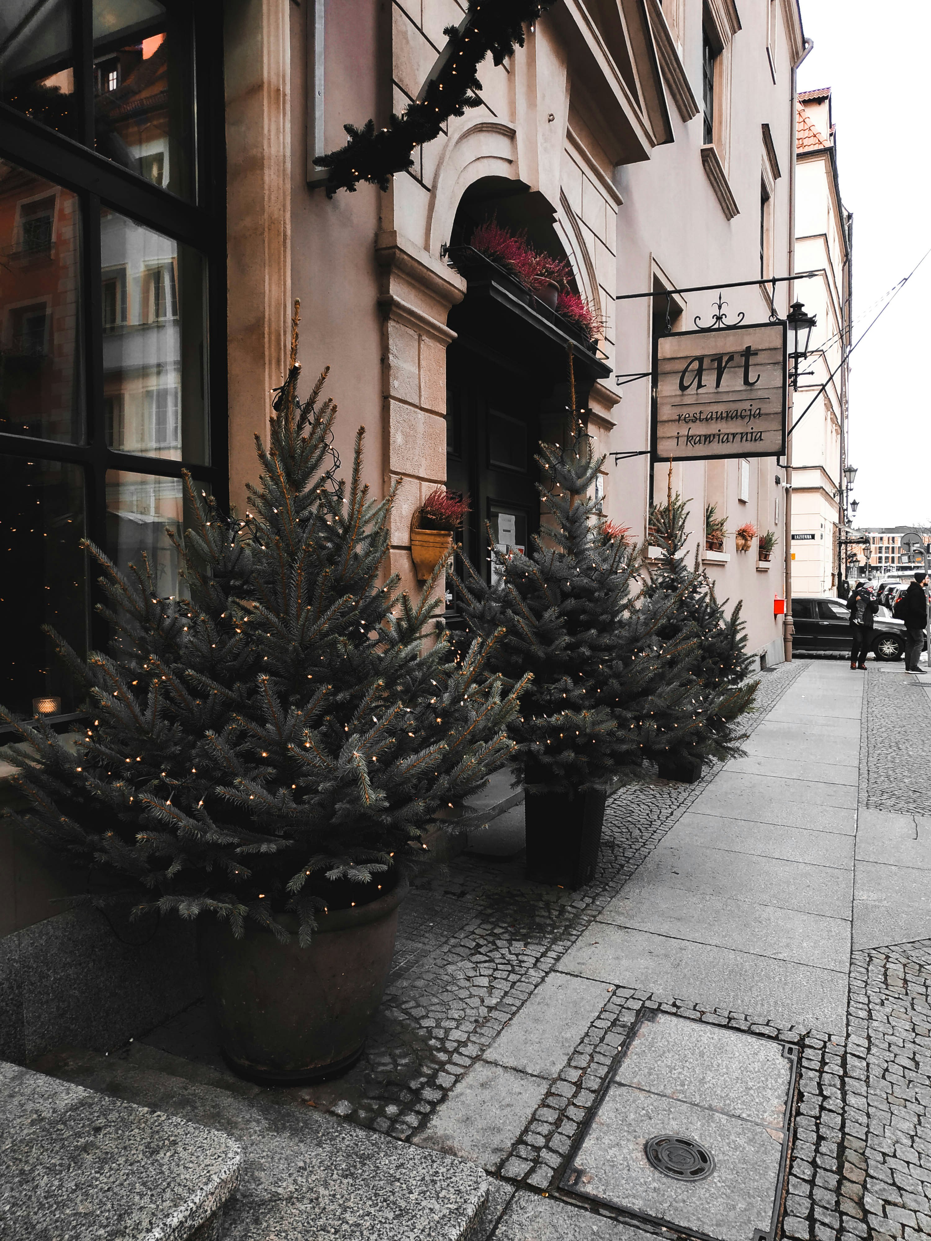 Potted Christmas trees line a cobbled sidewalk outside a building with an art sign, creating a quiet festive street tableau.