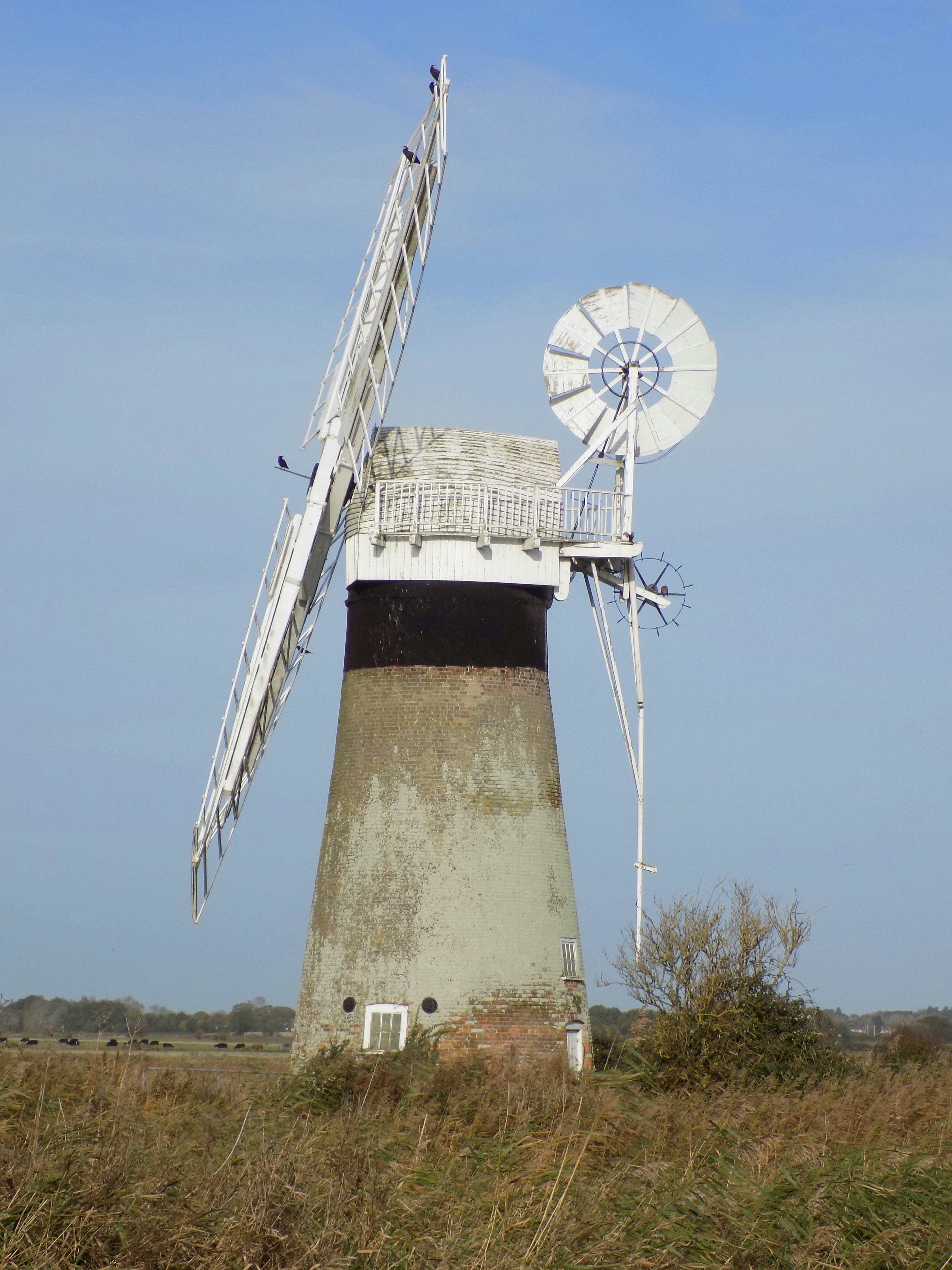 Historic windmill stands tall against a clear sky, with its blades gracefully poised for action. The structure showcases weathered textures and a surrounding landscape of tall grasses.