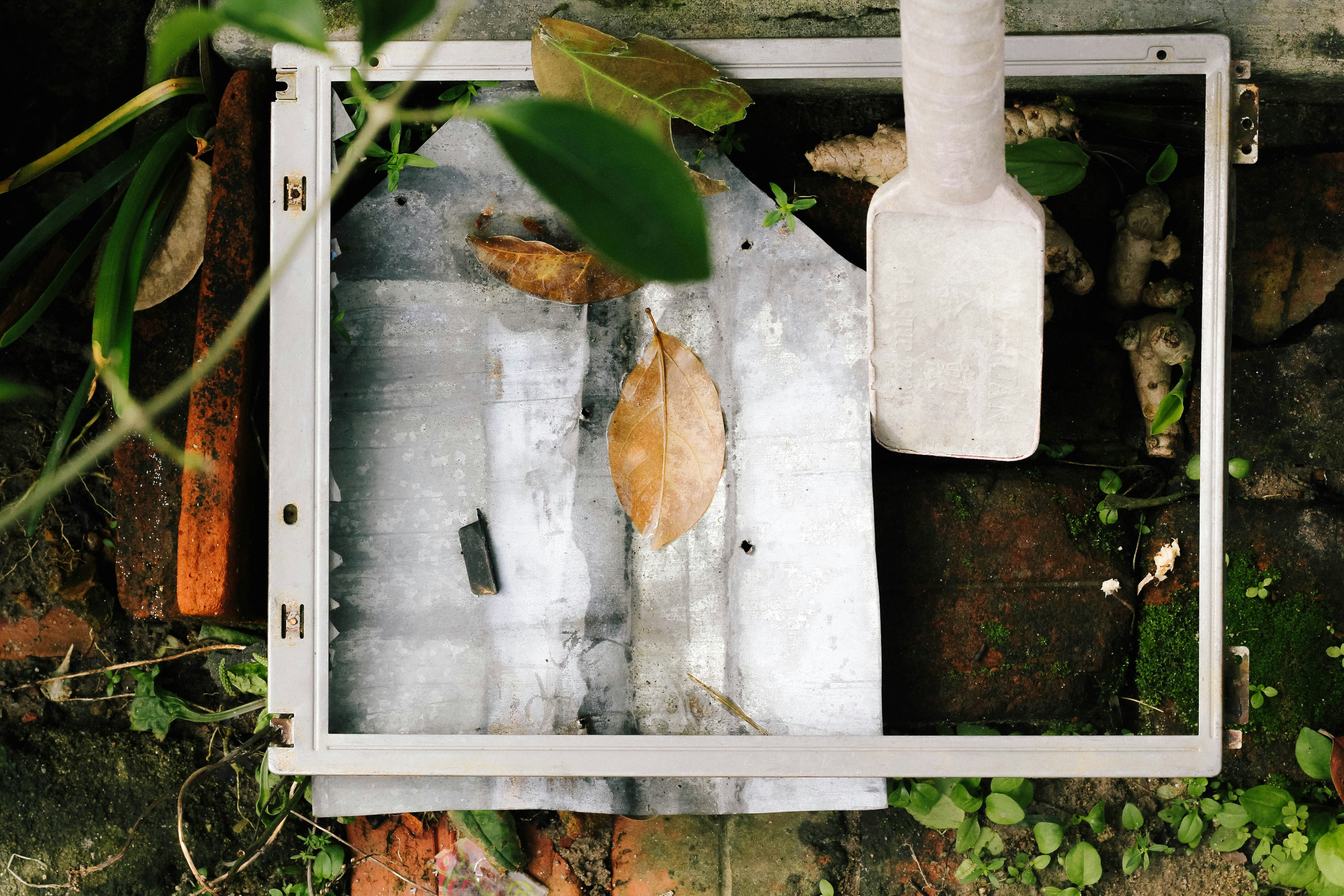 A weathered metal frame resting on the ground, surrounded by leaves and greenery, hints at forgotten artistry amidst nature's reclaiming touch.