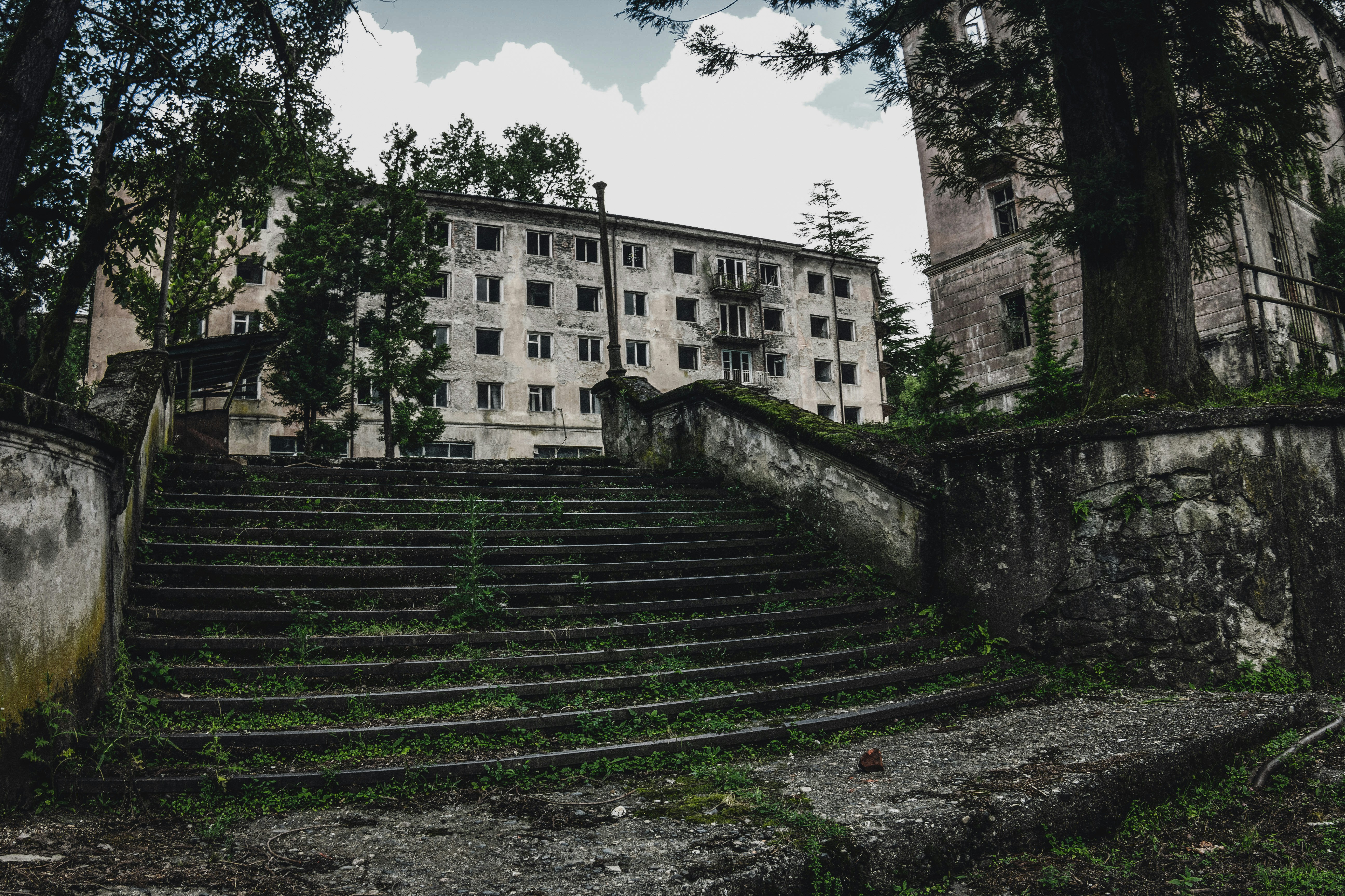 Overgrown stone steps lead to a dilapidated building, surrounded by trees, evoking a sense of desolation and nature reclaiming its space.