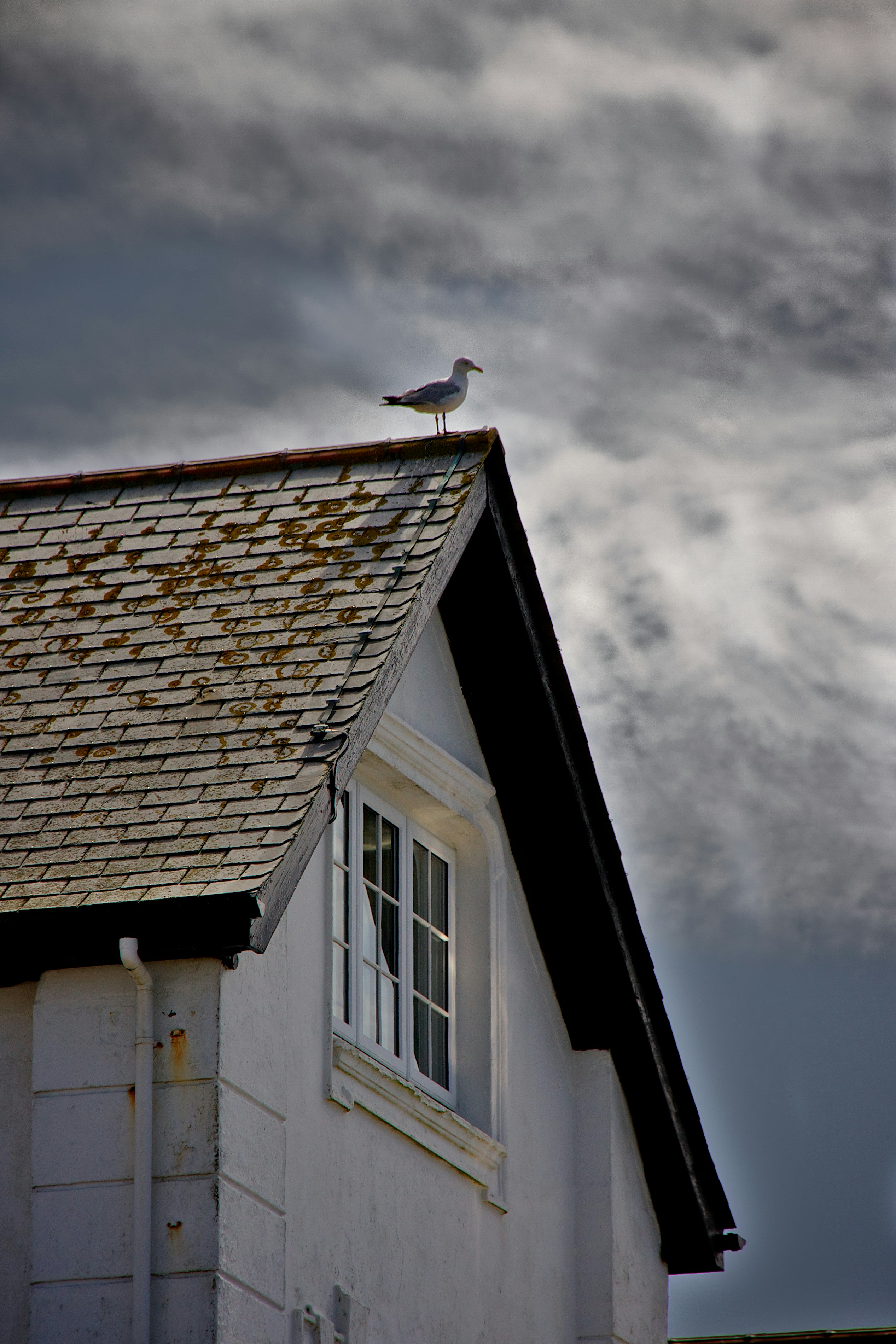 Photo by Paolo Chiabrando with Canon EOS 40D