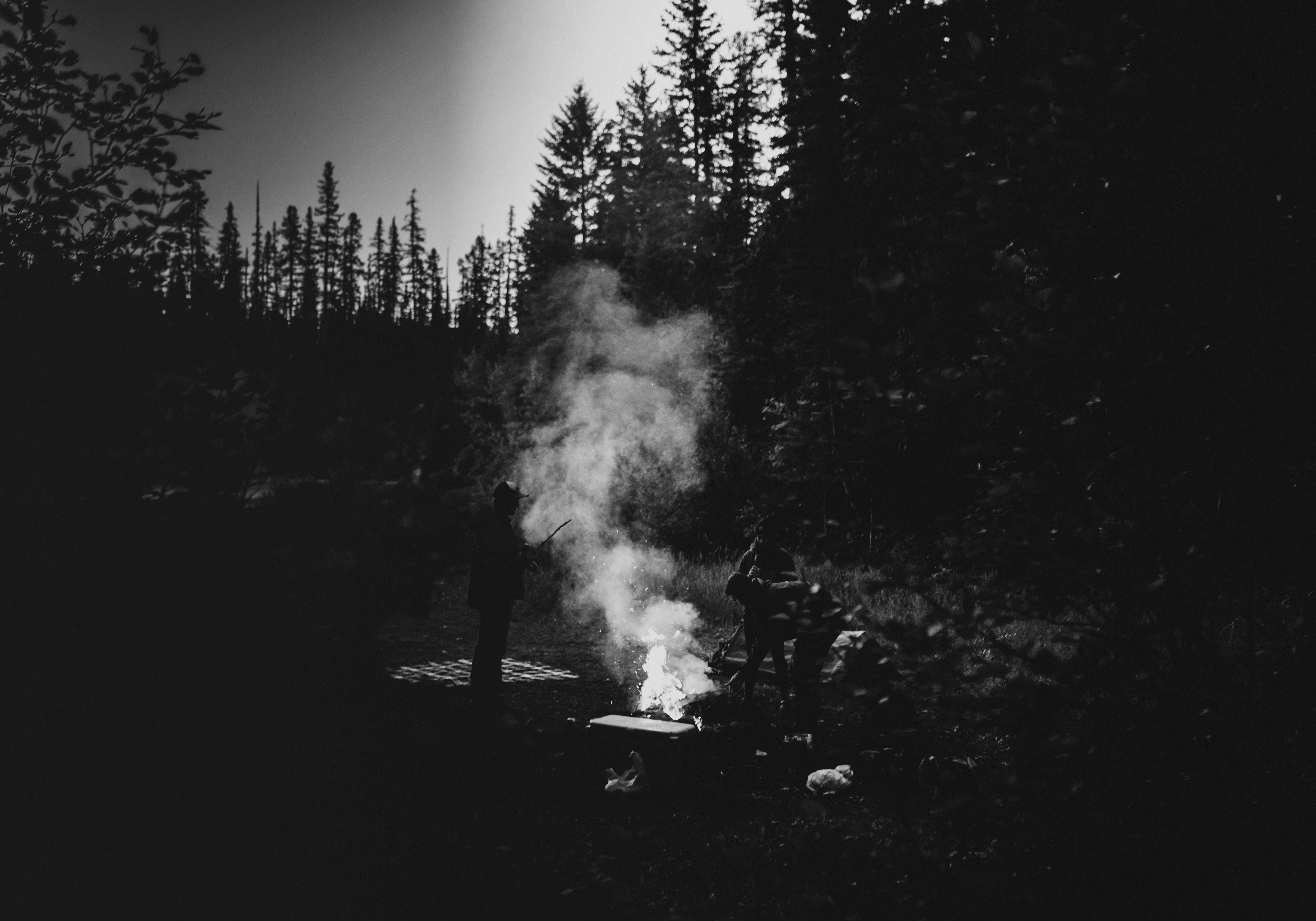 Grayscale photo of a burning wood photo – Free Grey Image on Unsplash