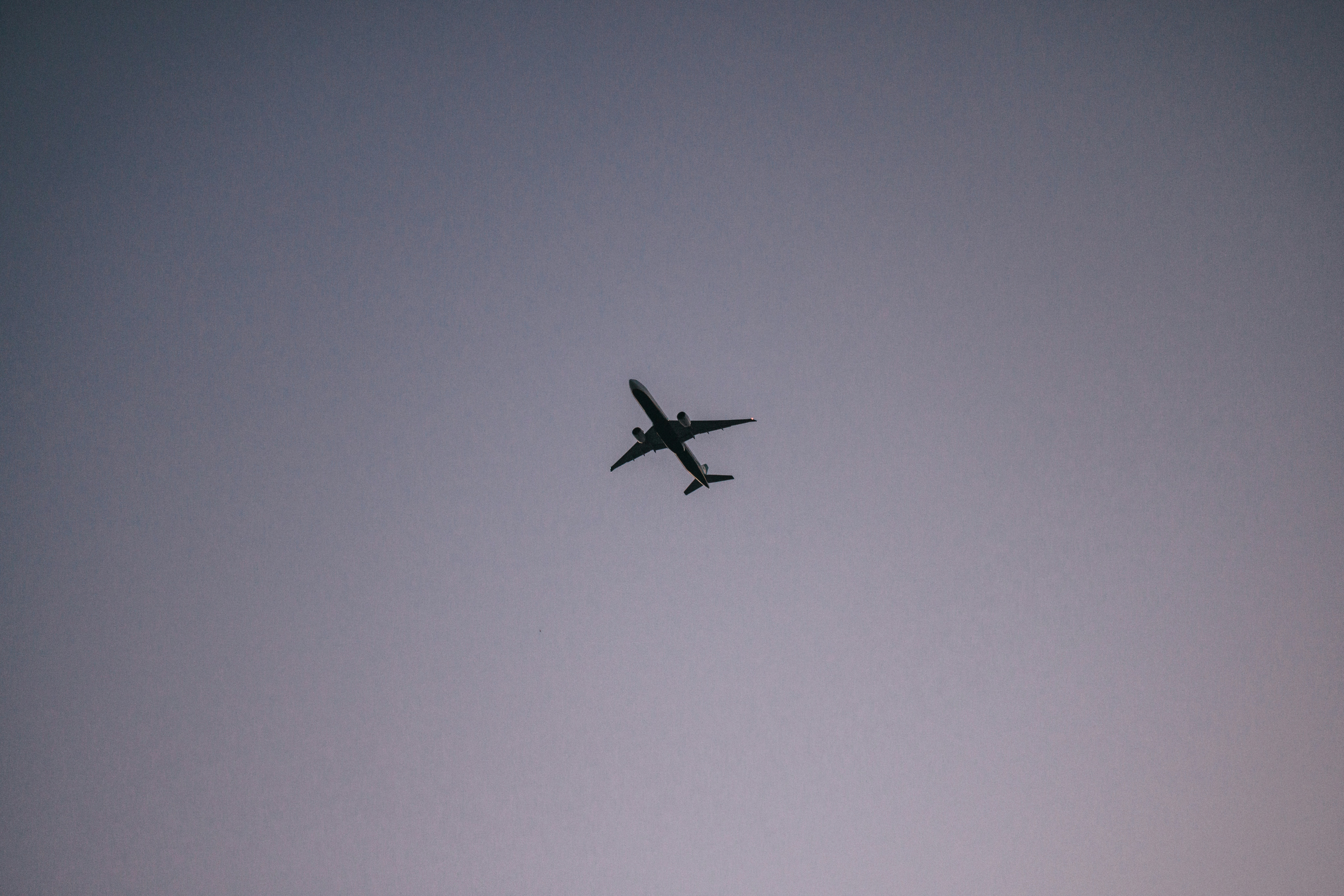 airplane flying in the sky