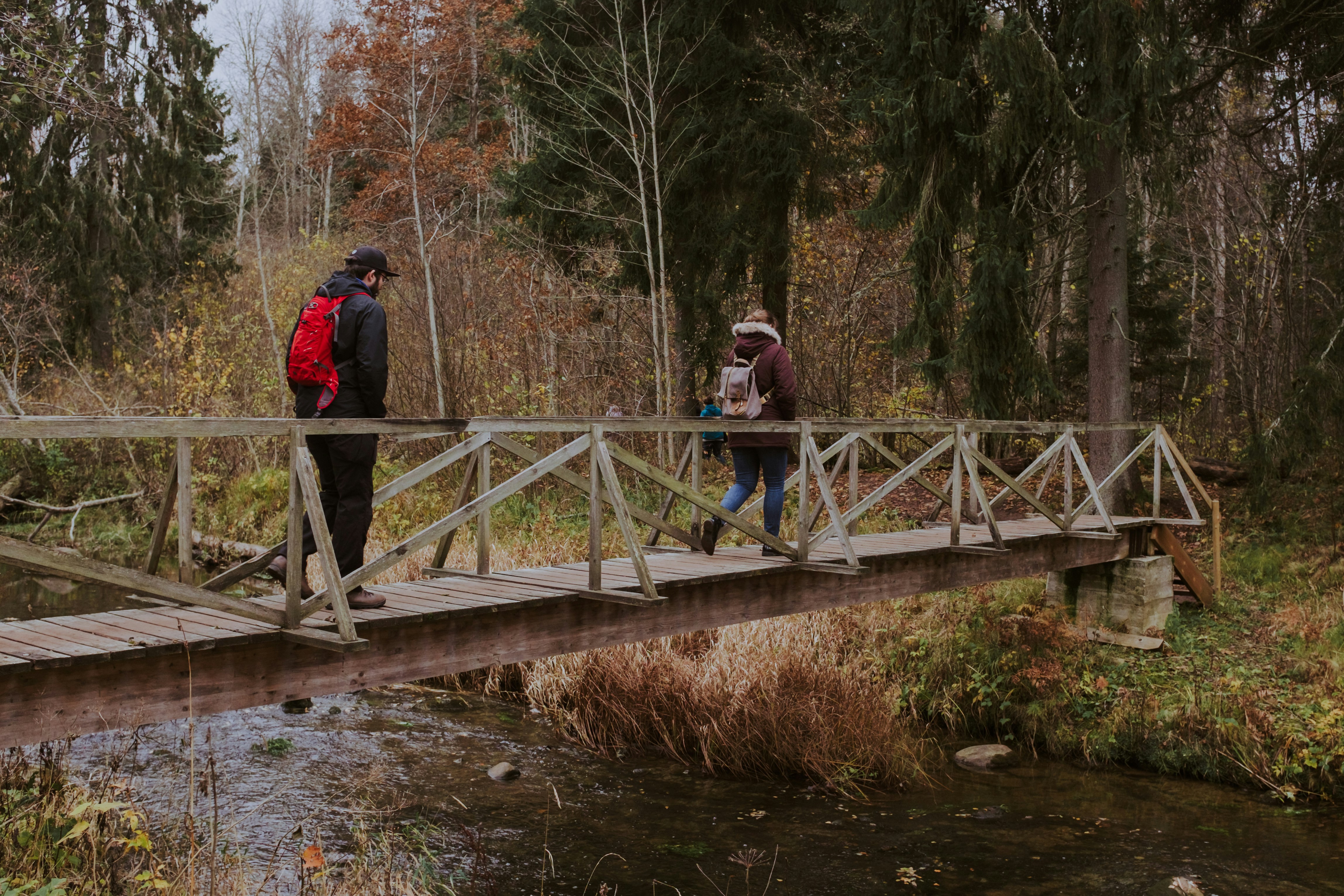 Two Hikers Cross a Weathered Woodland Bridge at Autumn's Edge