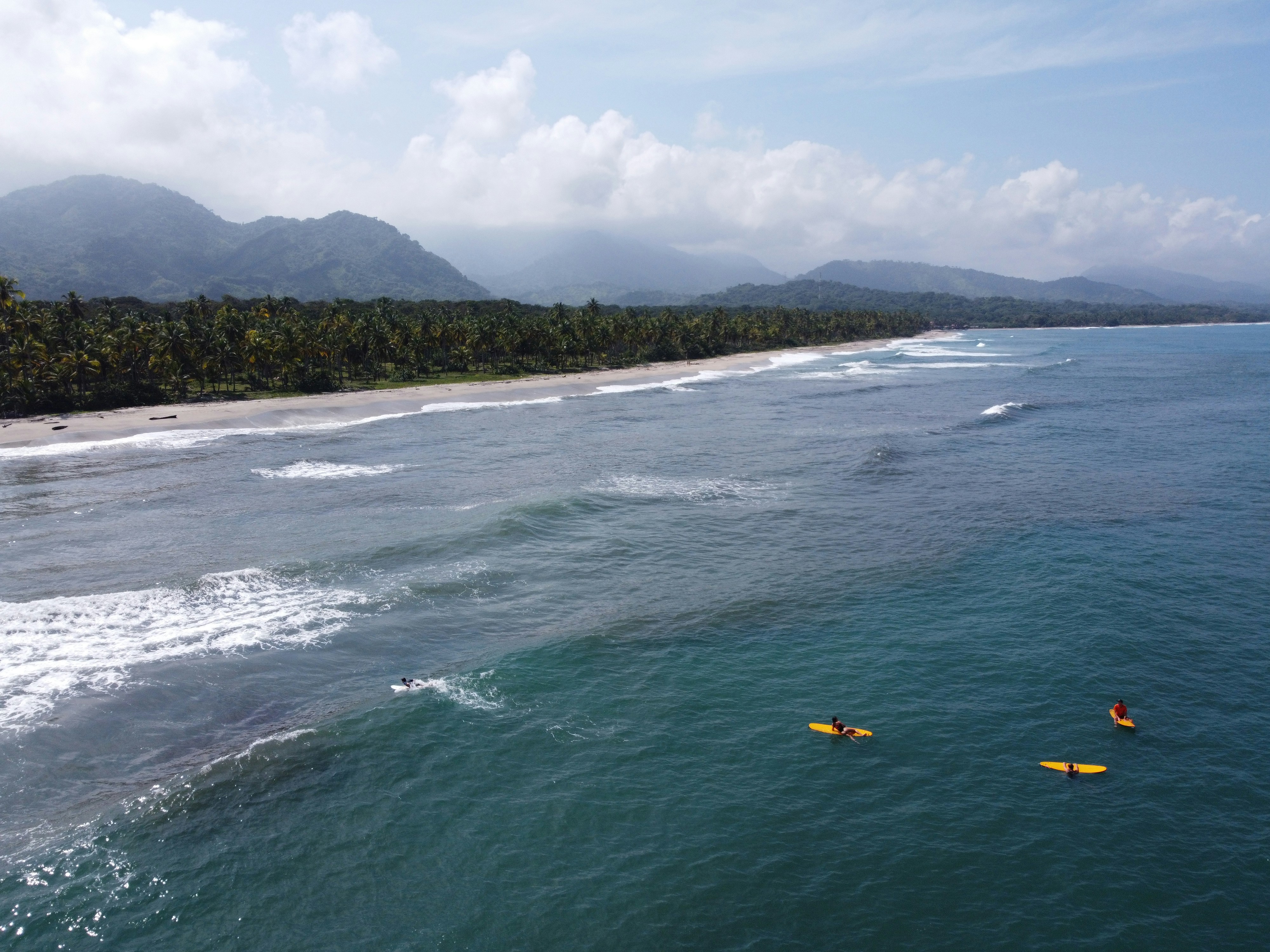 Surfers paddle through calm ocean waters near a lush, forested coastline under a cloudy sky.