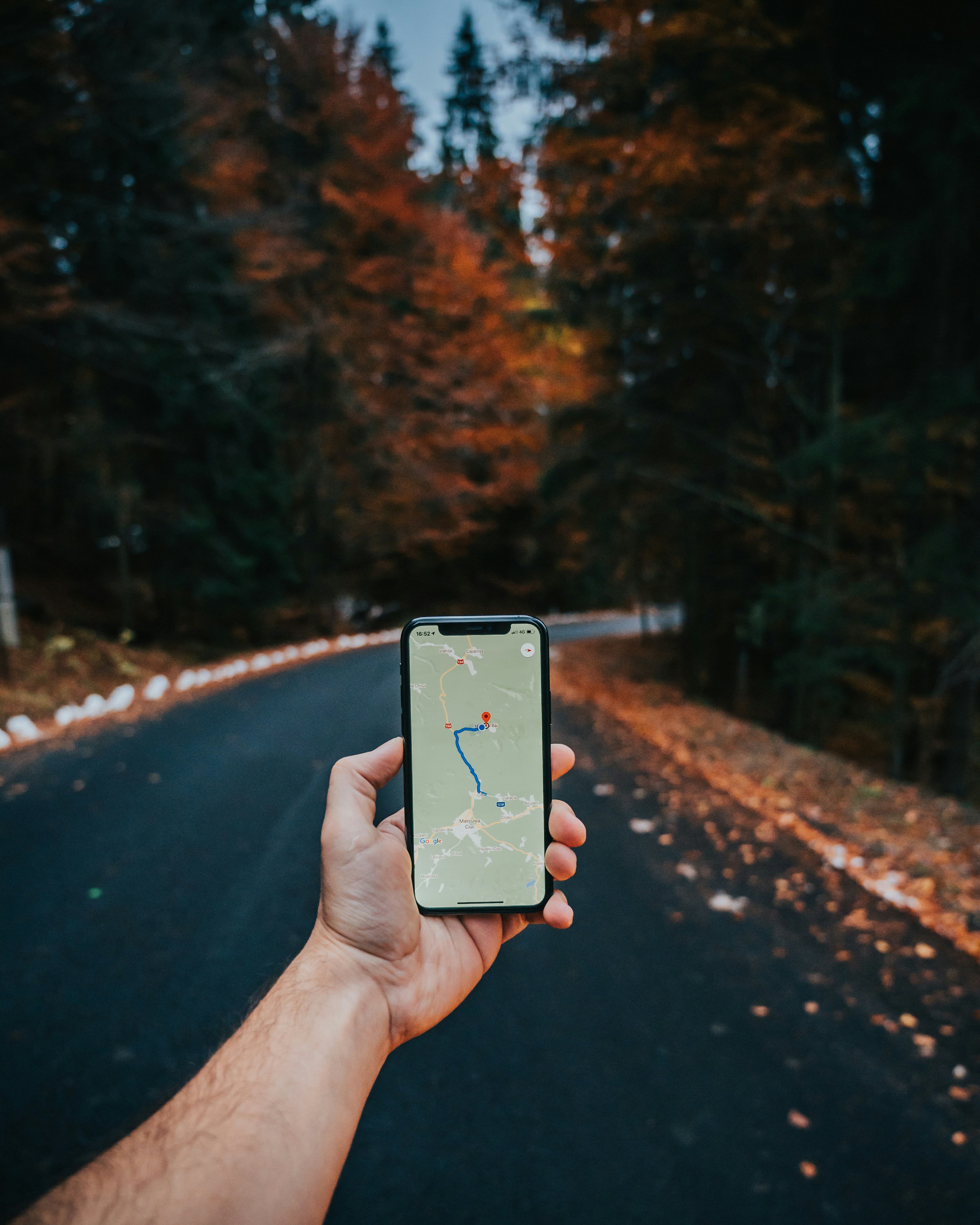Navigator in the Autumn Road: A Handheld Map on the Move