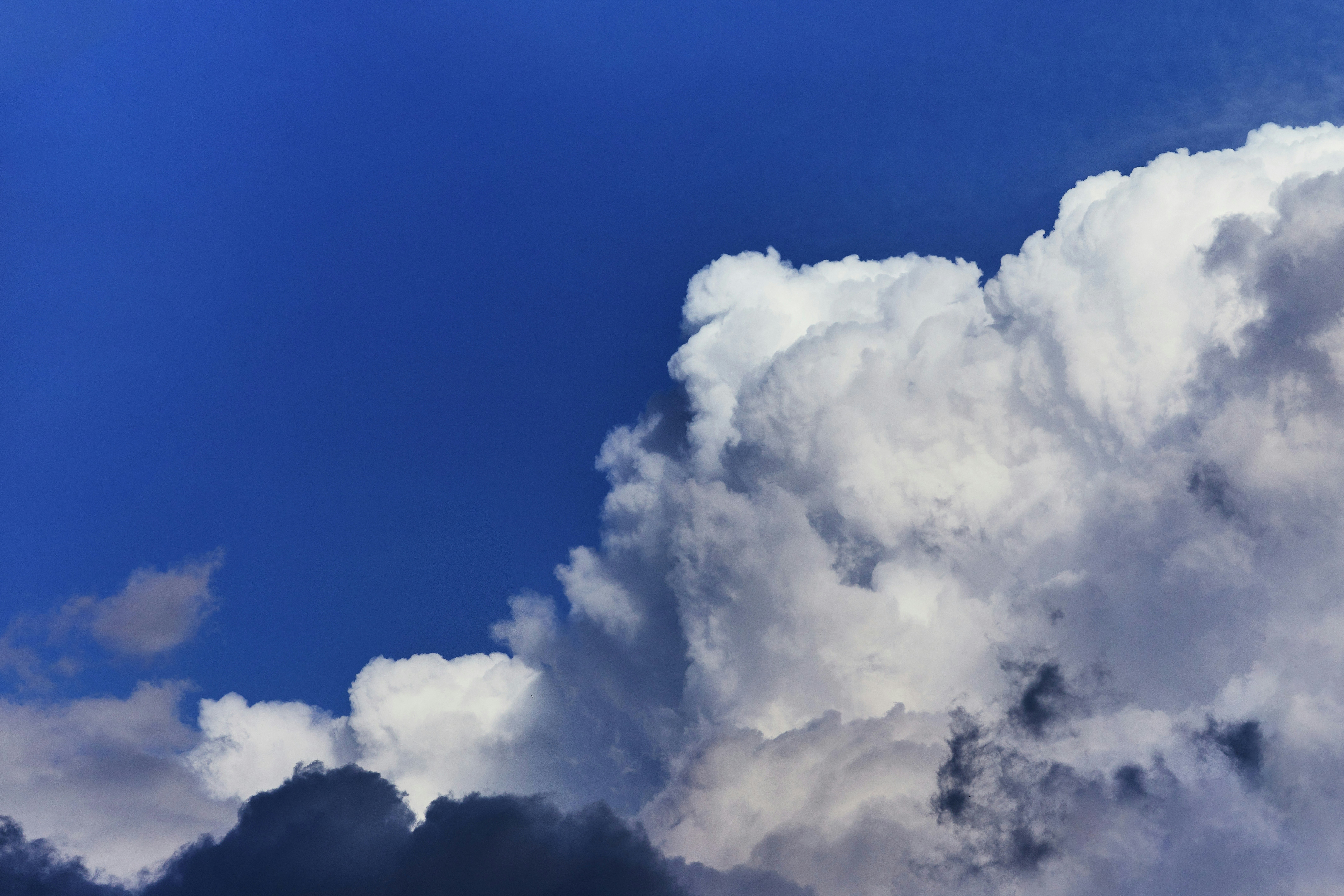 Thick cumulus clouds of white and gray color against a clear blue sky. Bright clouds for design, Photoshop and social networks | white clouds and blue sky during daytime