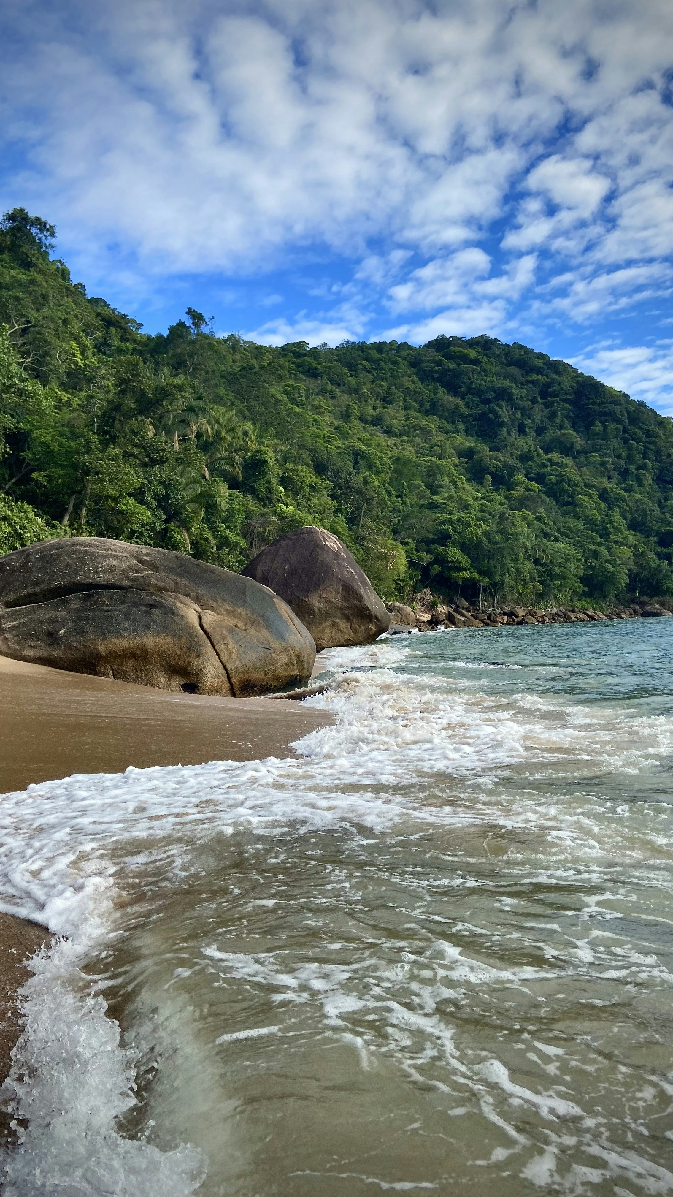 Granite Giants Guard the Tropic Shore