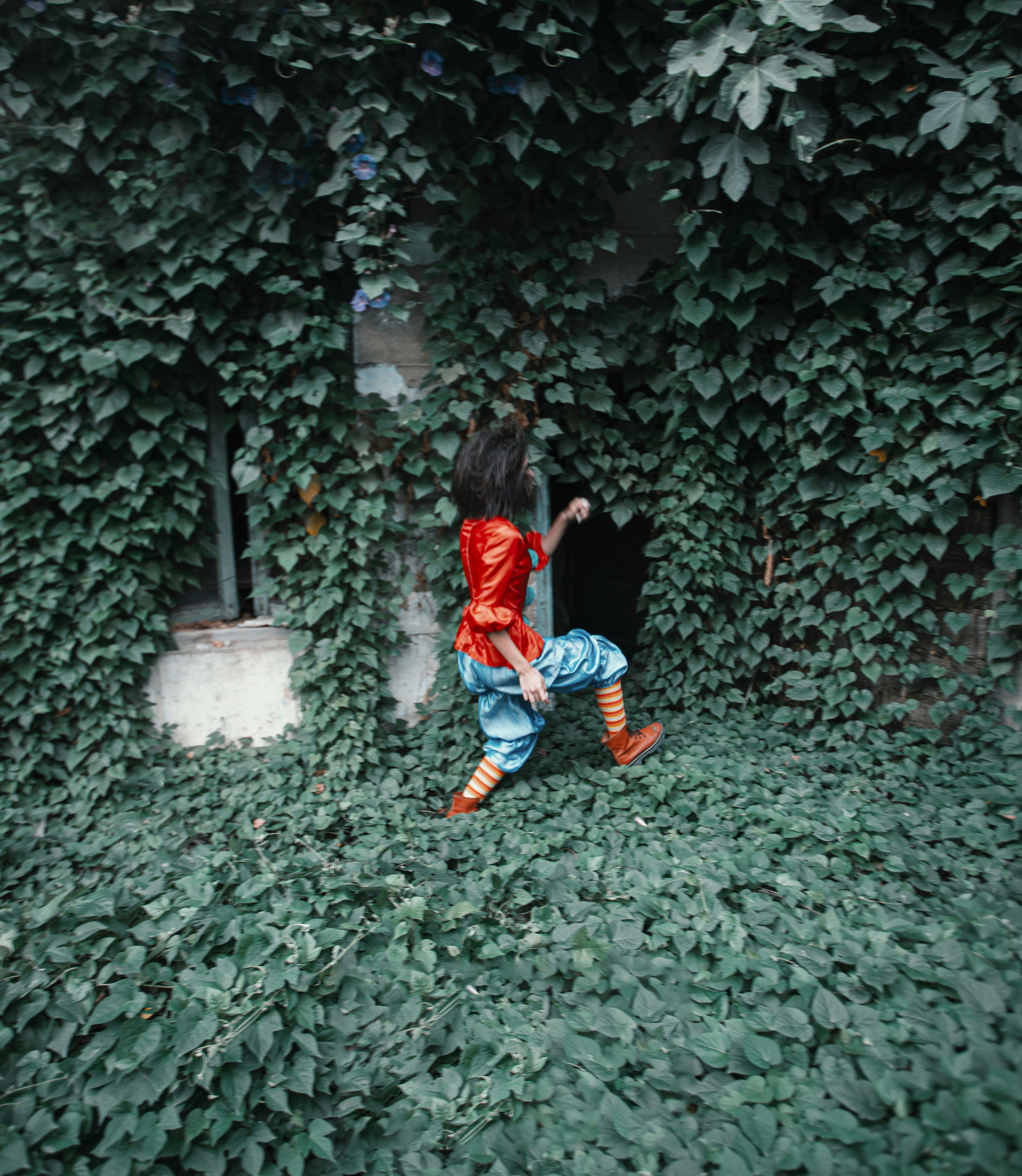 Red on Ivy: A Child Steps Toward a Hidden Doorway in a Living Wall