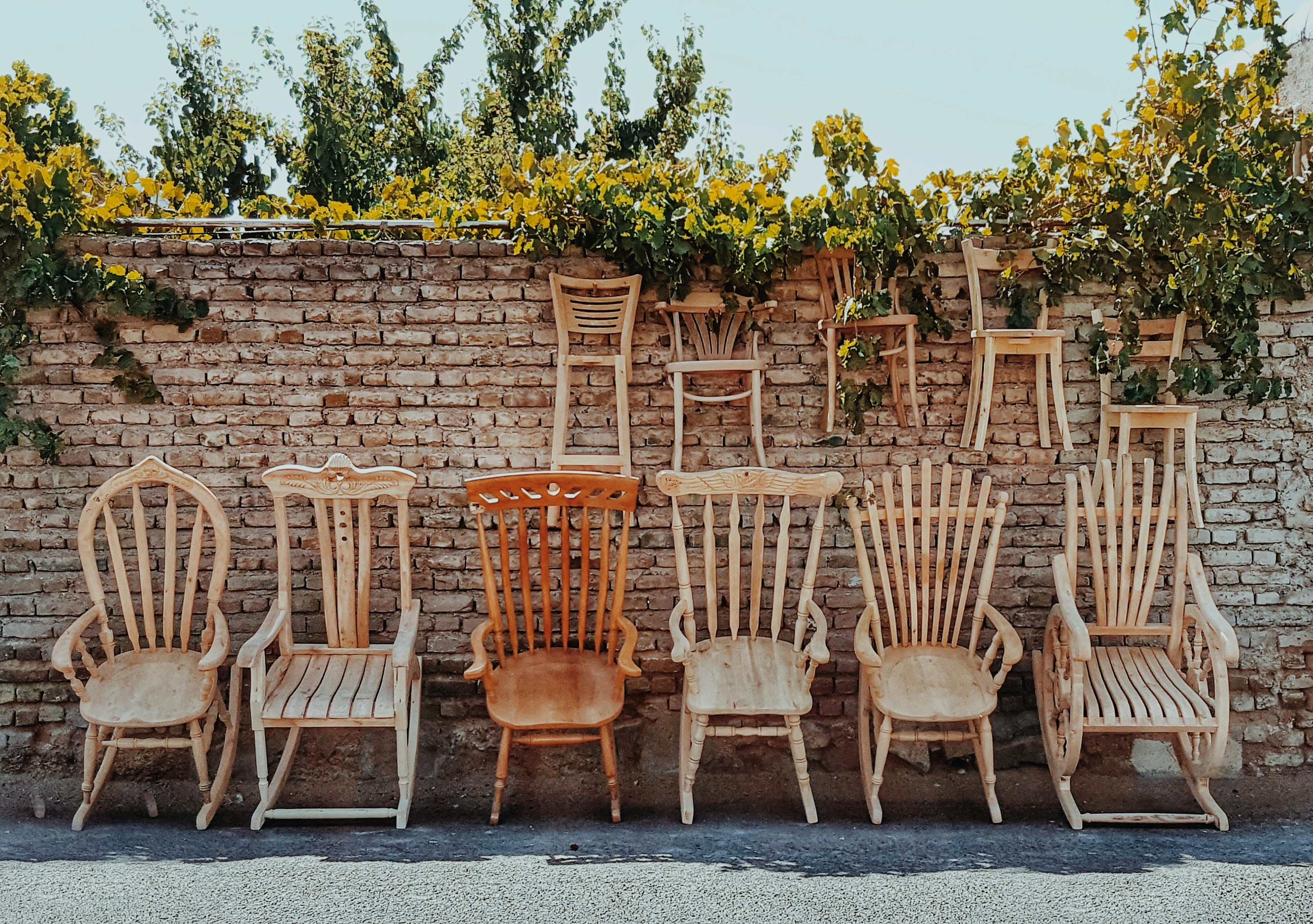 Orange Spotlight: A Row of Weathered Chairs Under Ivy