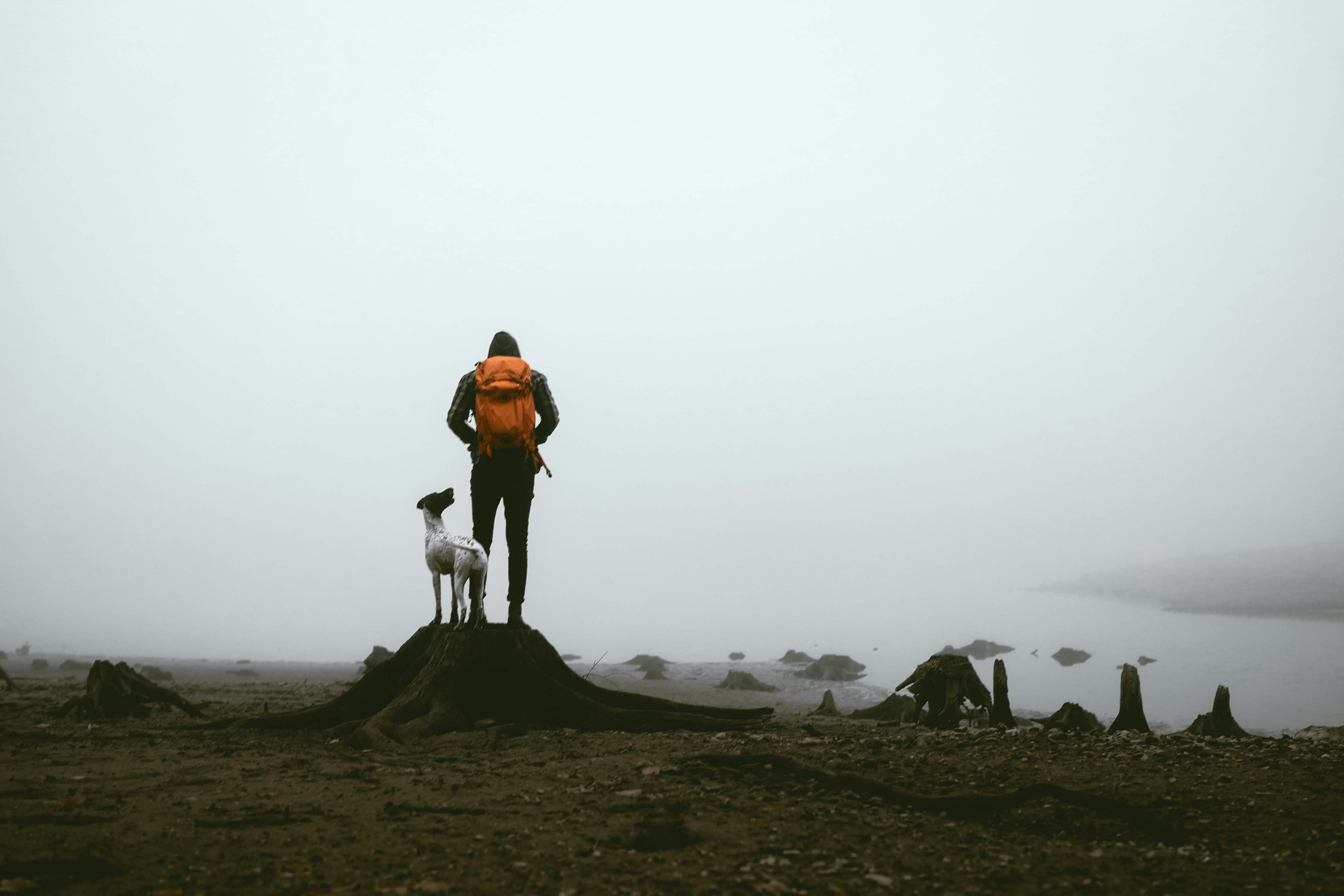 Hiker with an orange backpack and a dog stand on a foggy hillside overlooking a misty landscape.