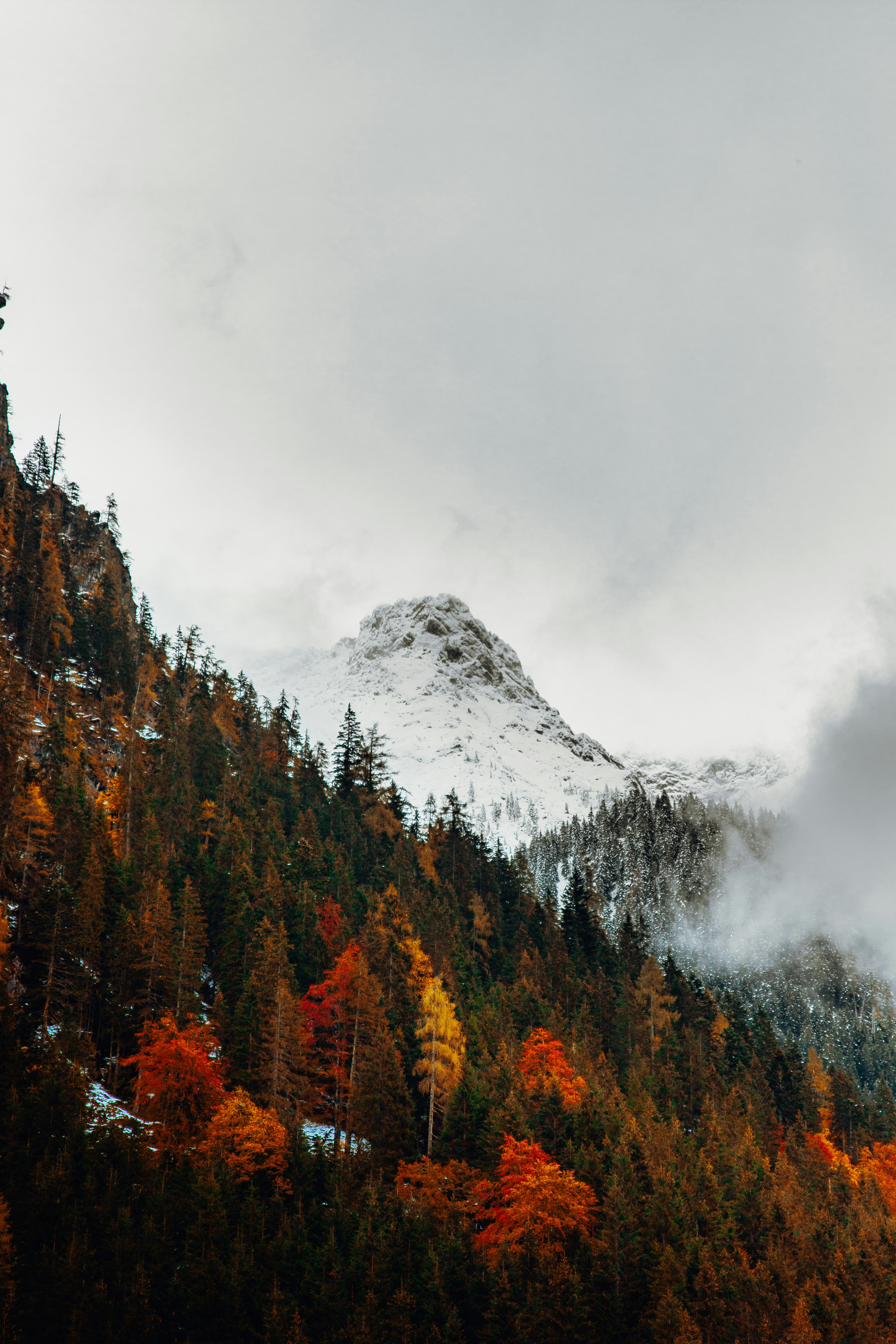 Vibrant autumn foliage contrasts with the snow-covered mountains under a cloudy sky.