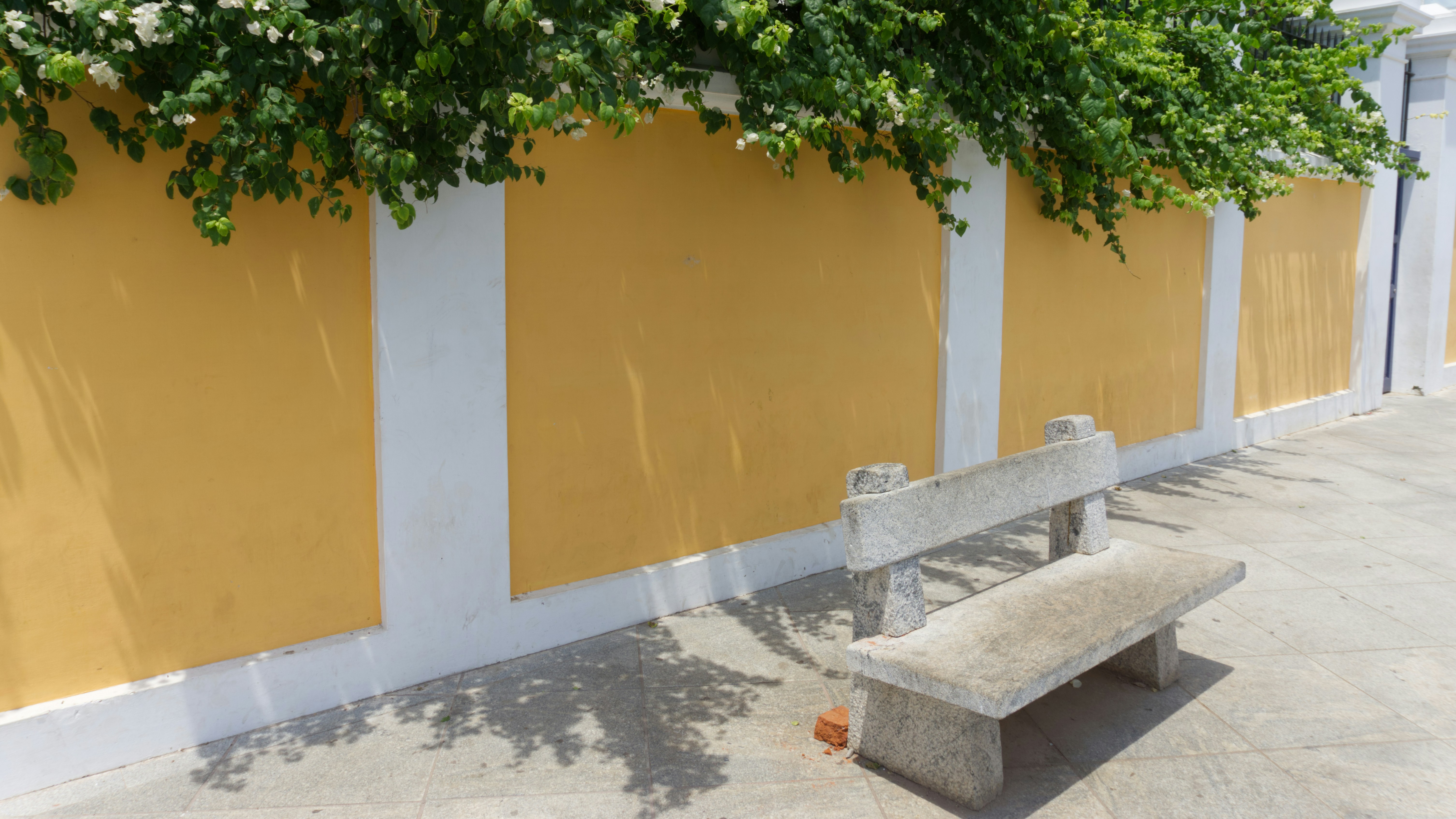 A stone bench sits beneath a lush canopy, casting shadows on a vibrant yellow wall. The scene invites moments of contemplation.