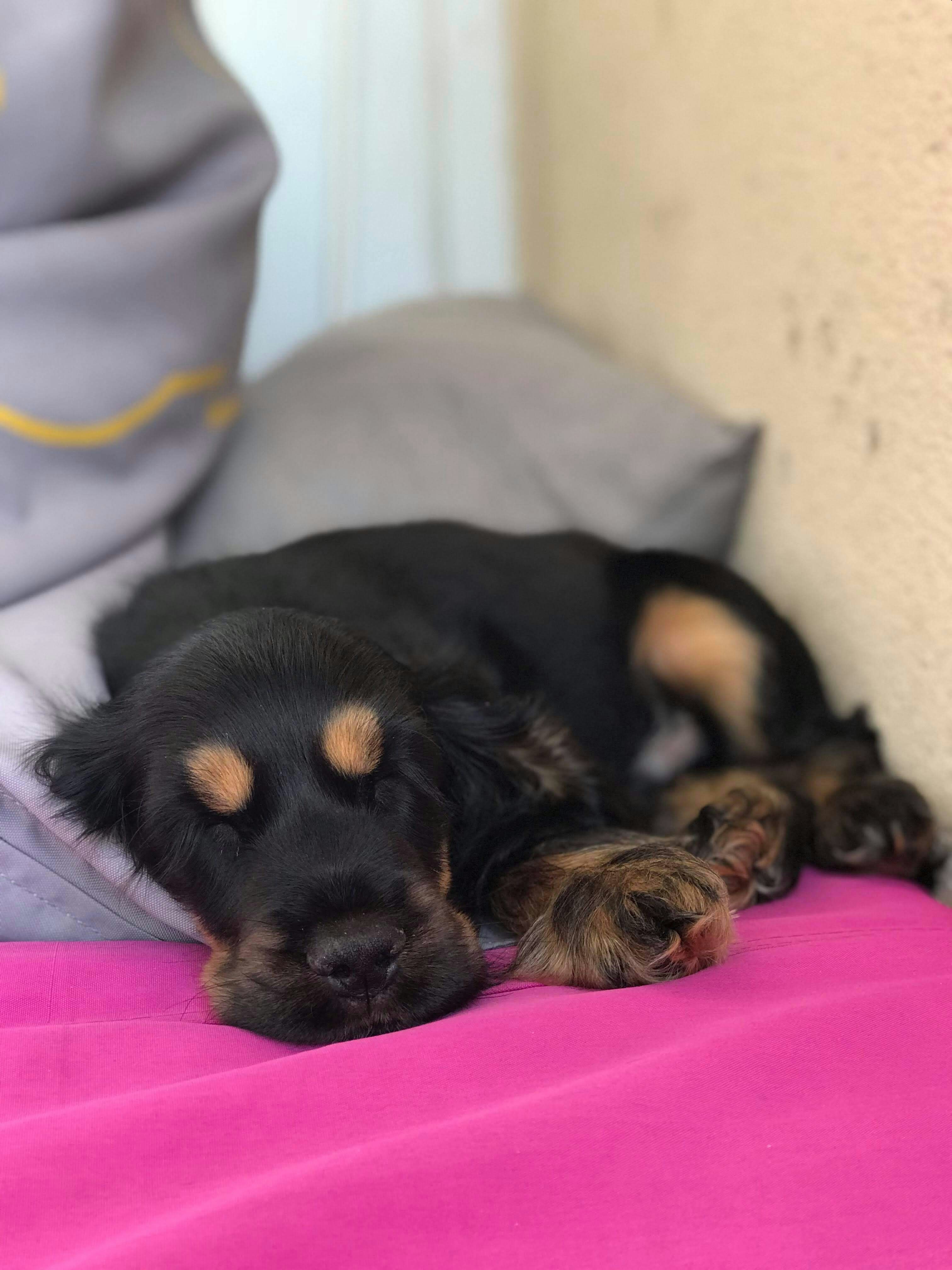 stephanie bolfa (@bibounette95) | Unsplash Photo Community