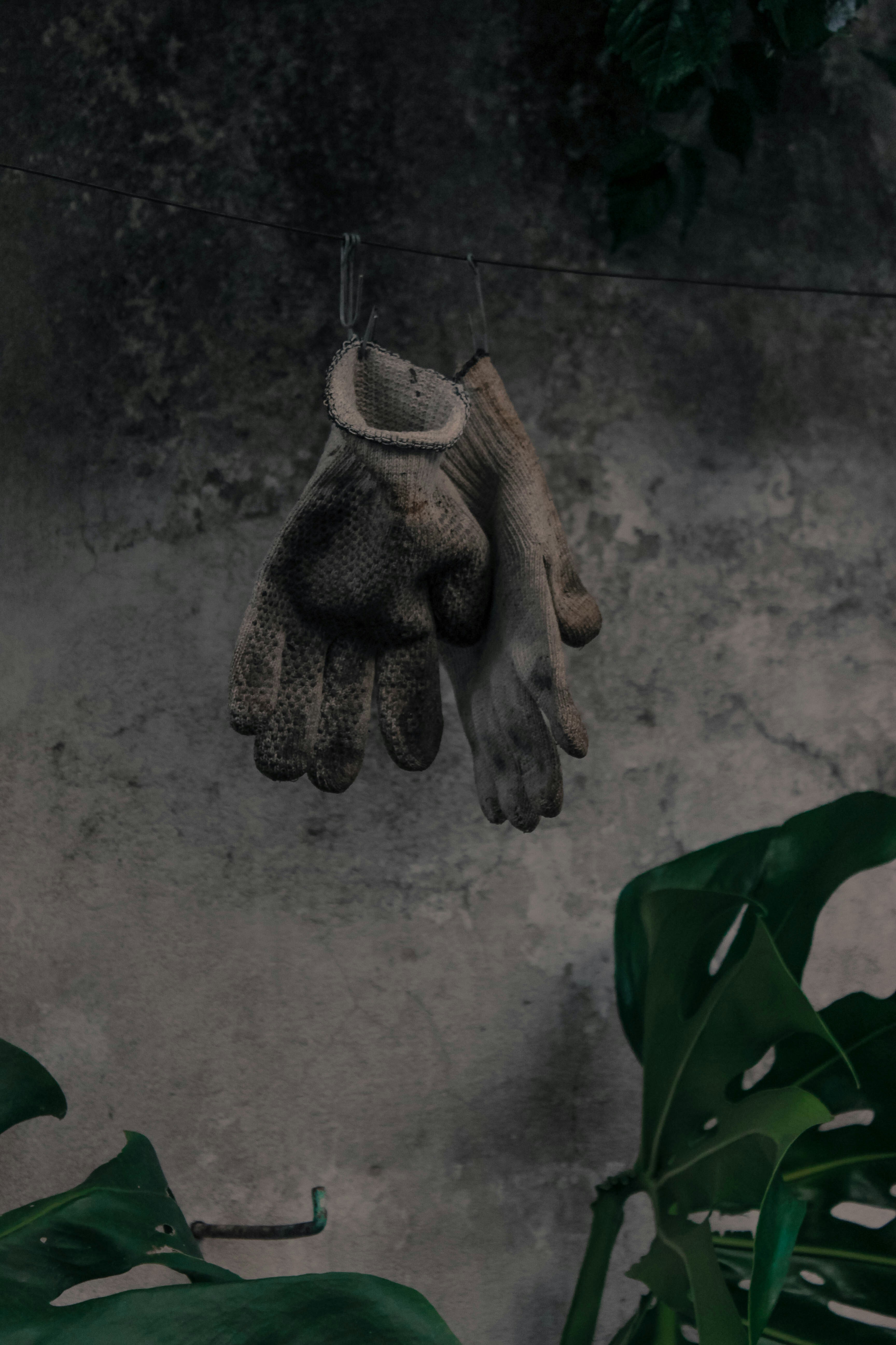 Hanging Gloves in Quiet Decay
