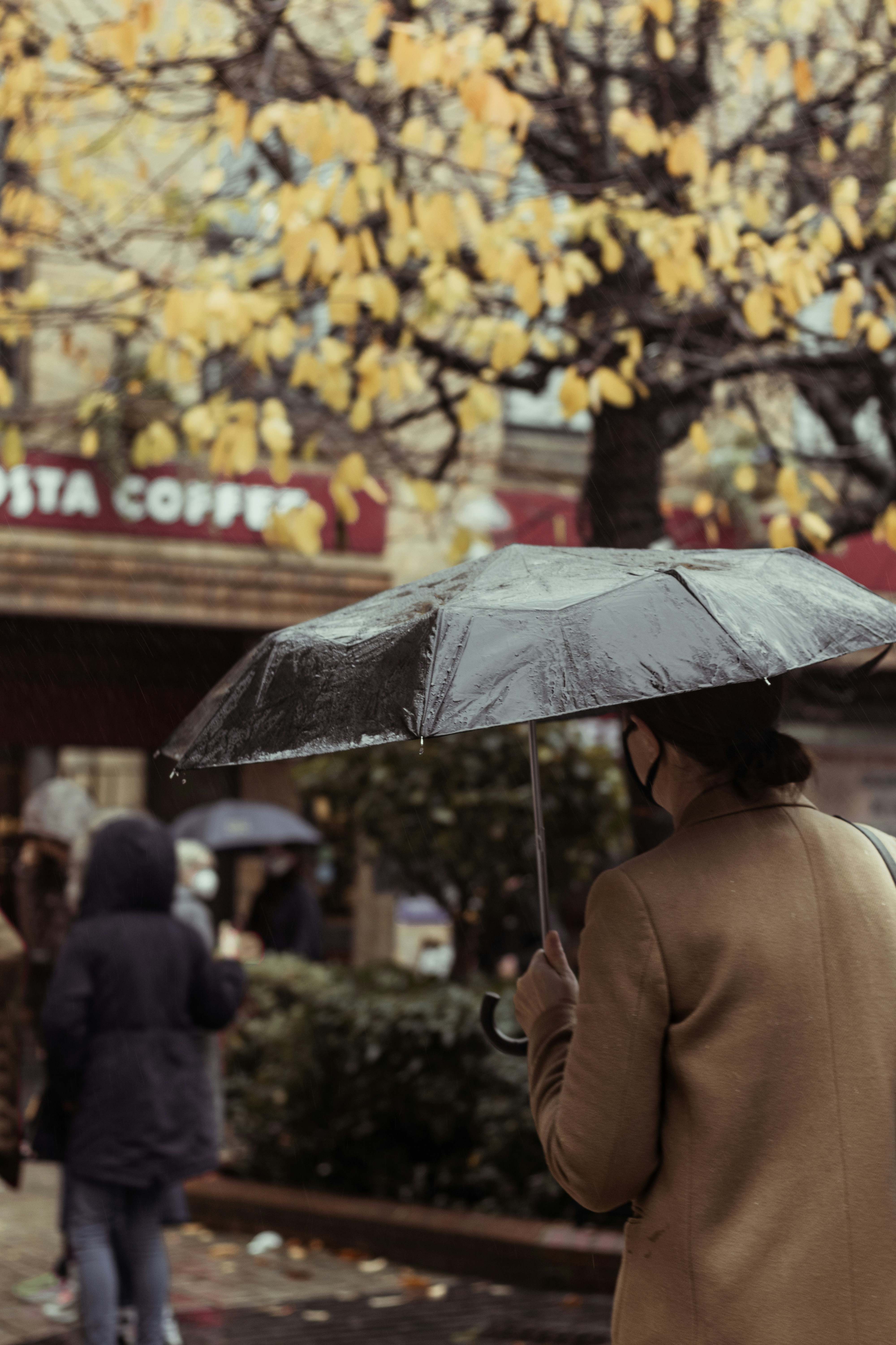 Umbrella Witness in Autumn Rain