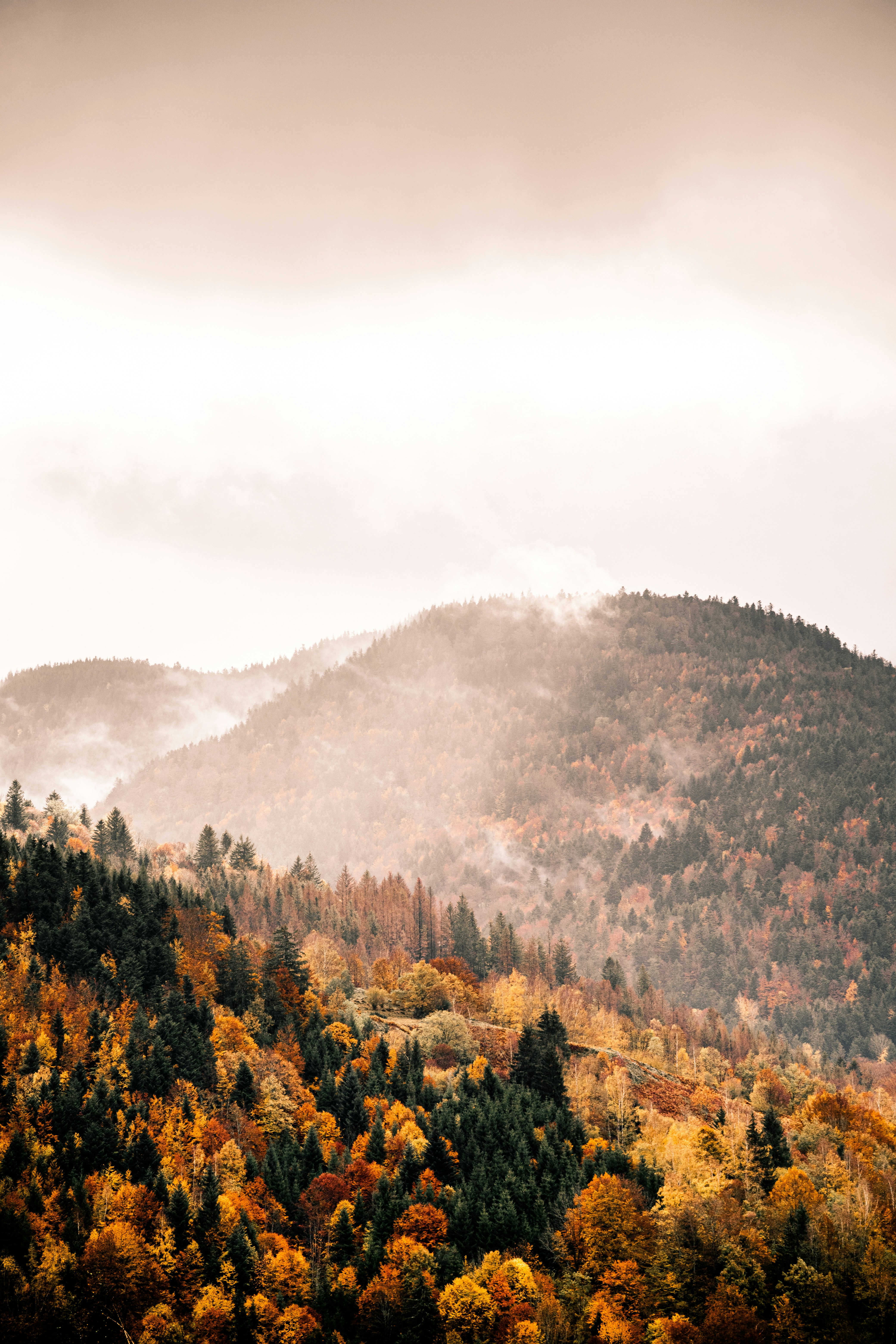 Atumn Pictures | Download Free Images on Unsplash