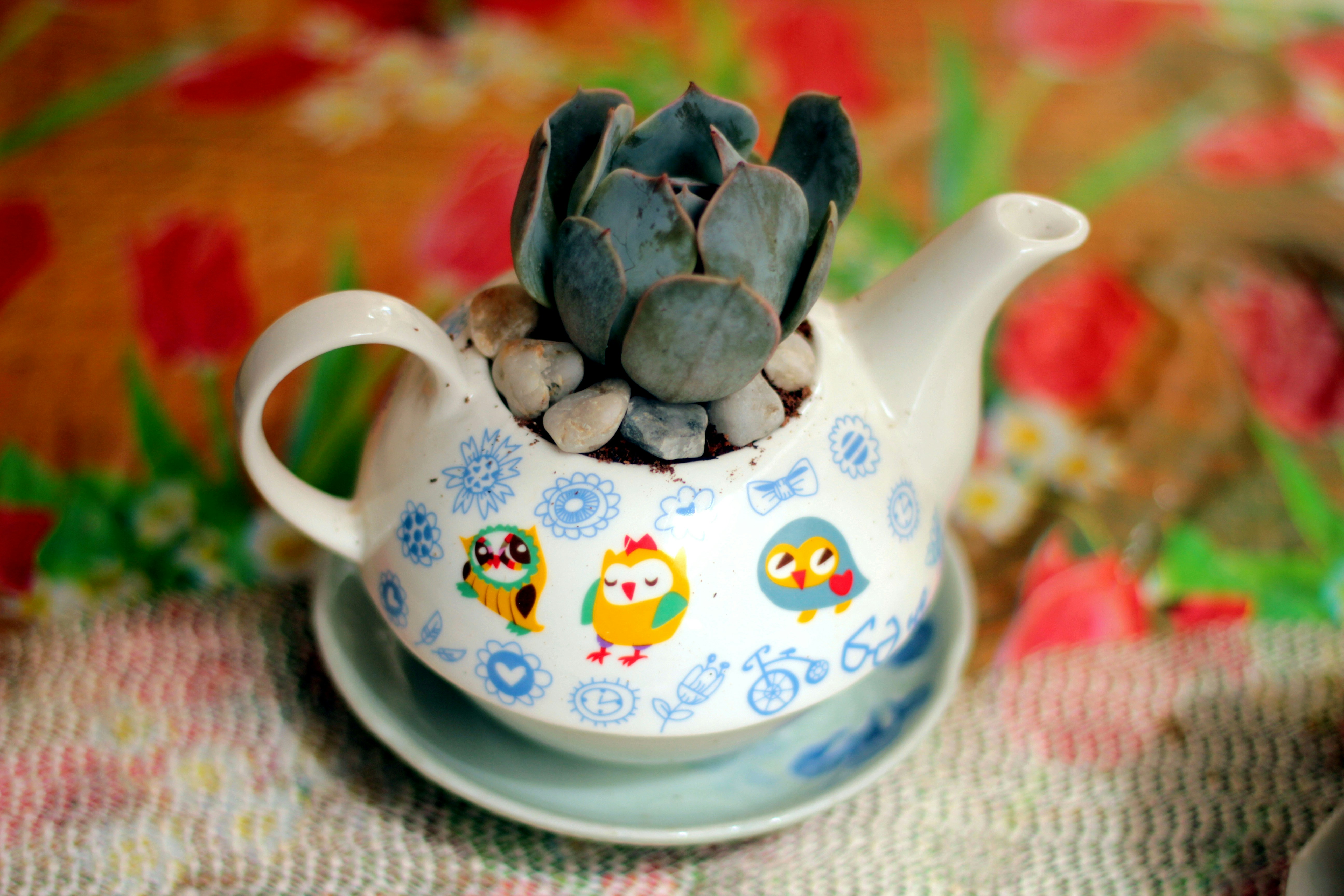 Whimsical Teapot Garden
