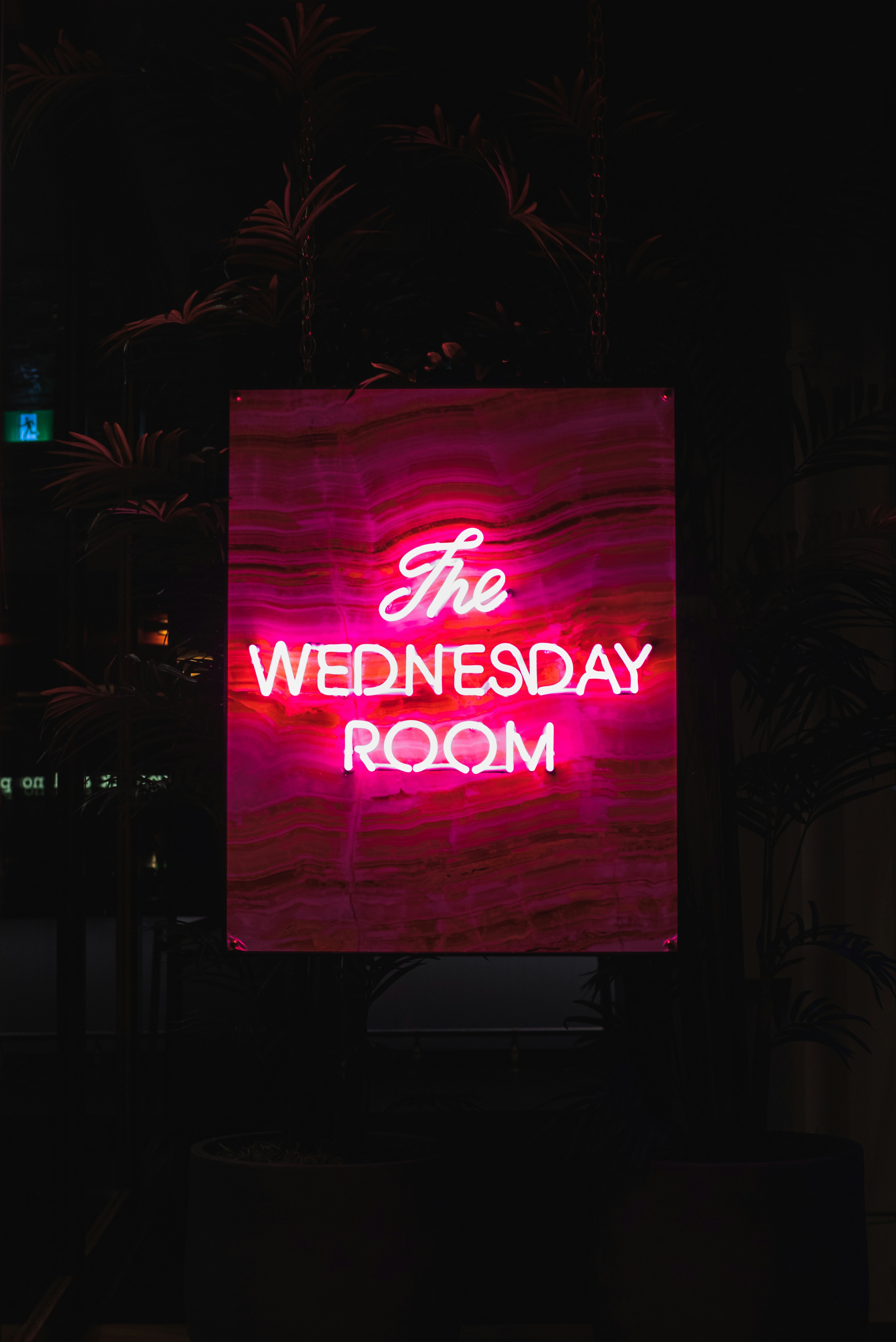 A neon sign that reads the wednesday room photo – Free Light Image on ...