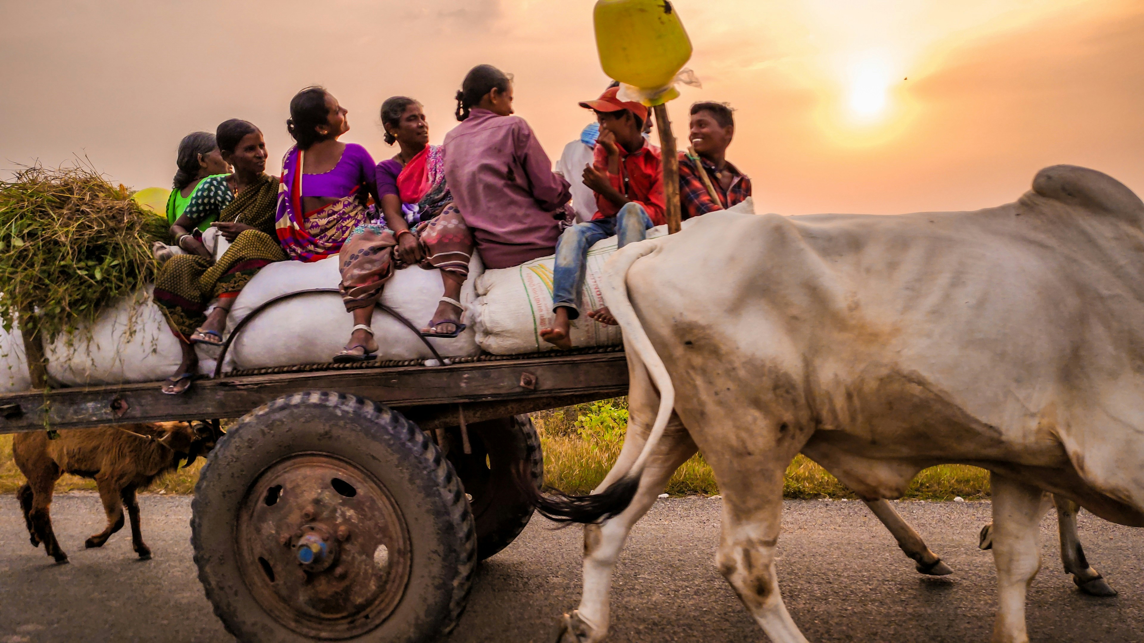 Group of children joyfully riding on a bullock cart, with a warm sunset illuminating the scene. The cart is laden with supplies, emphasizing rural life.
