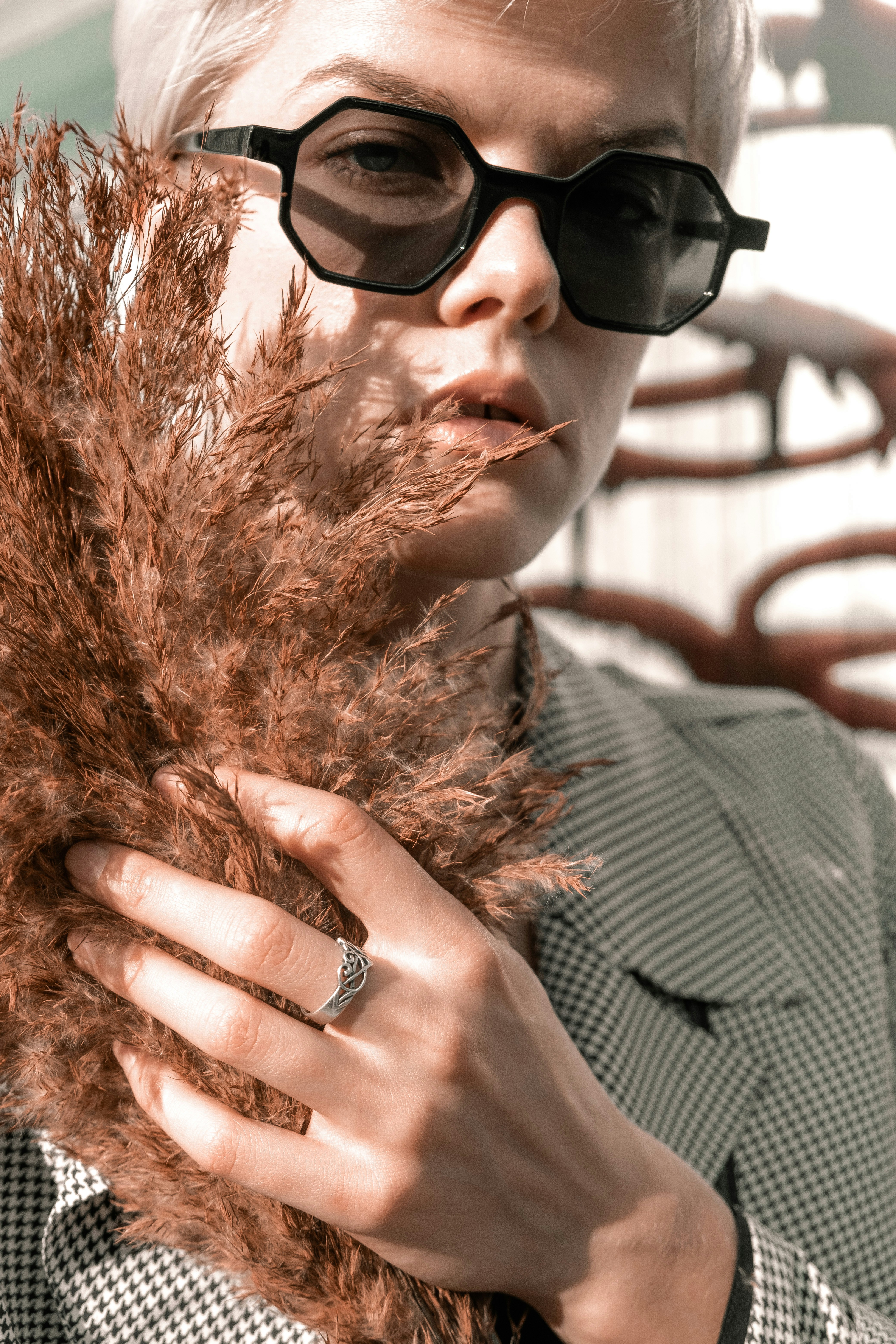 Plume Framed Gaze: A Close-Up with Rusty Pampas and Shadowed Light