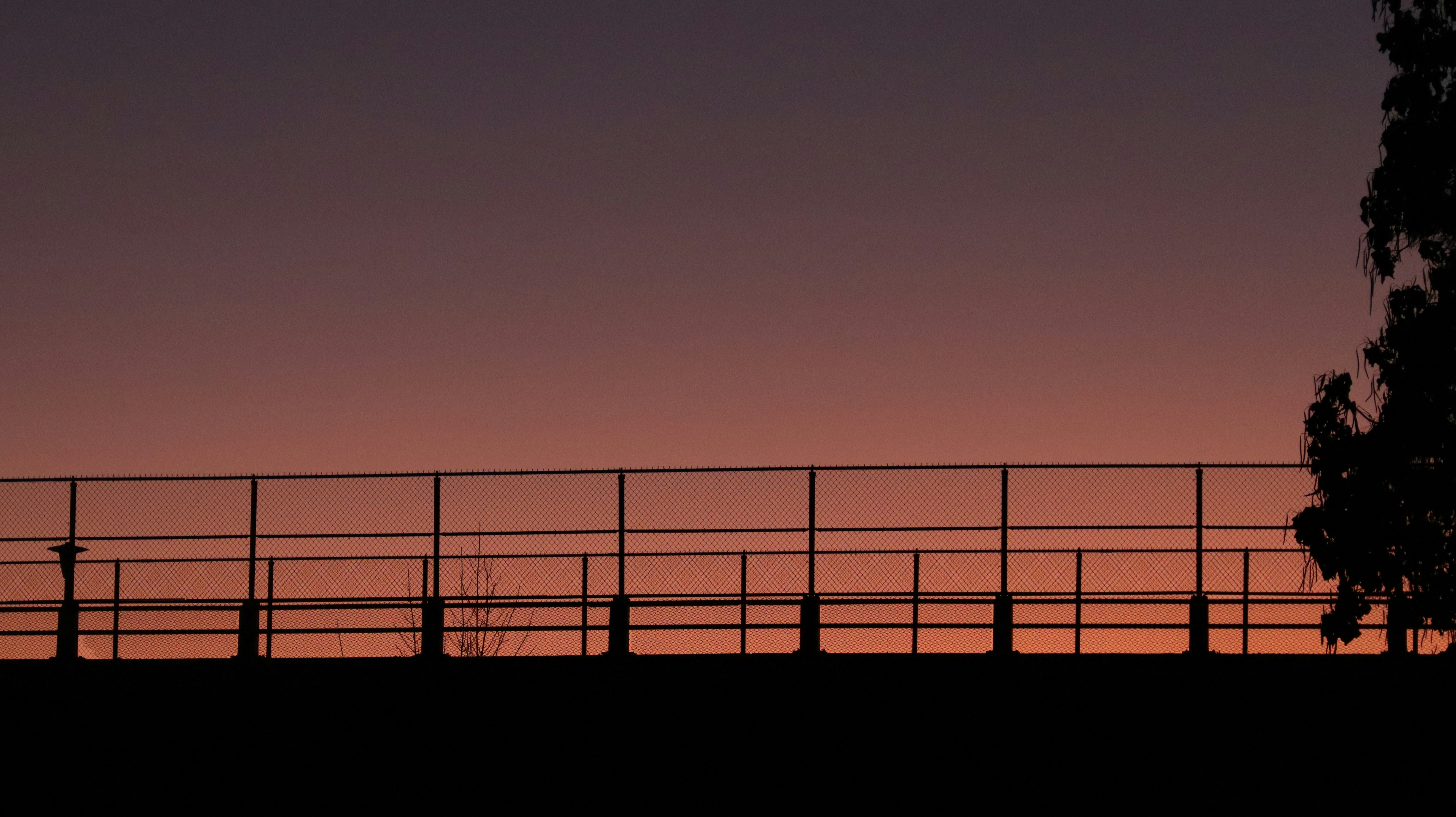 Twilight's Embrace: A Silhouette of Serenity