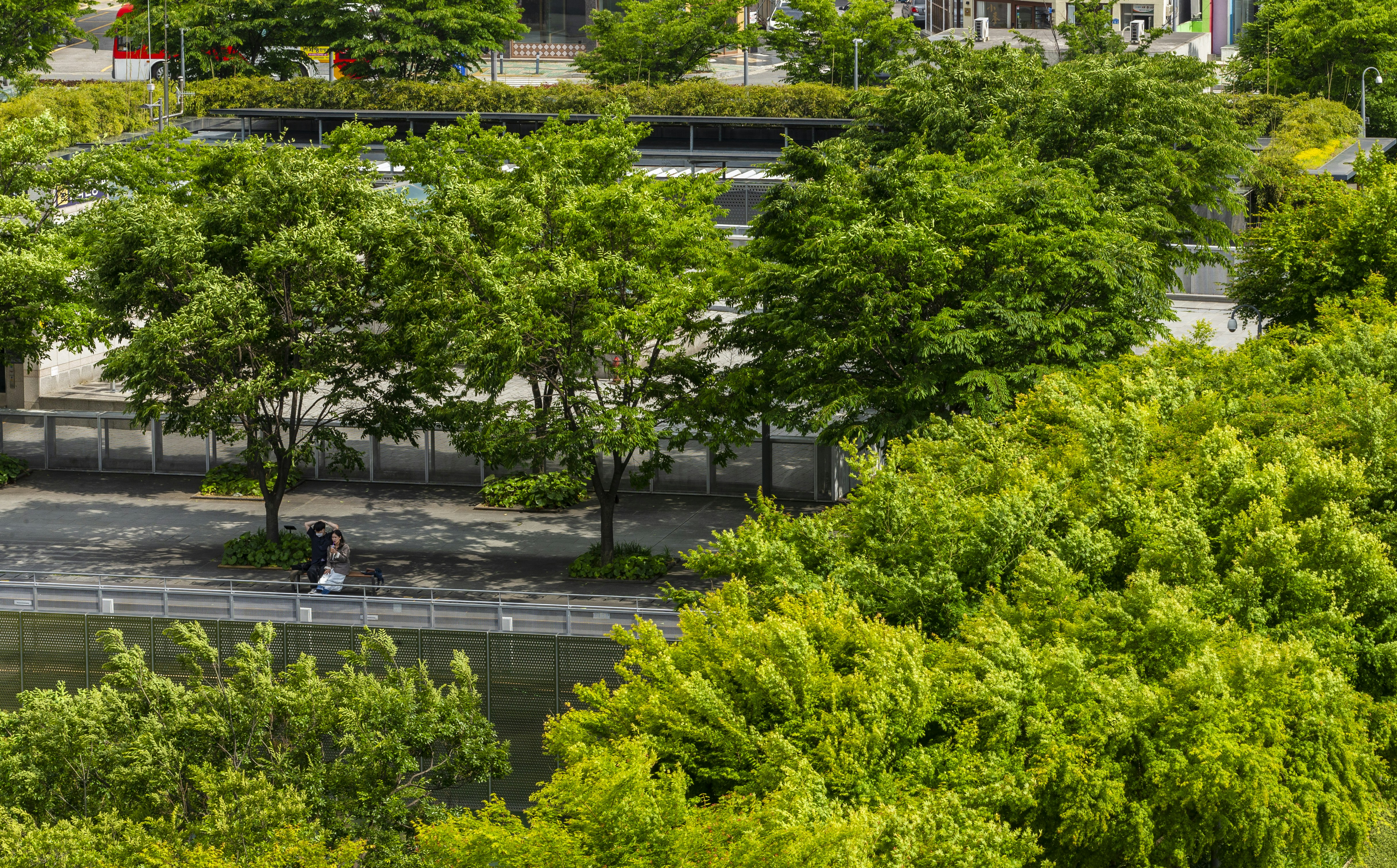 A couple sitting in the shade with the trees of the Asia Culture Center.