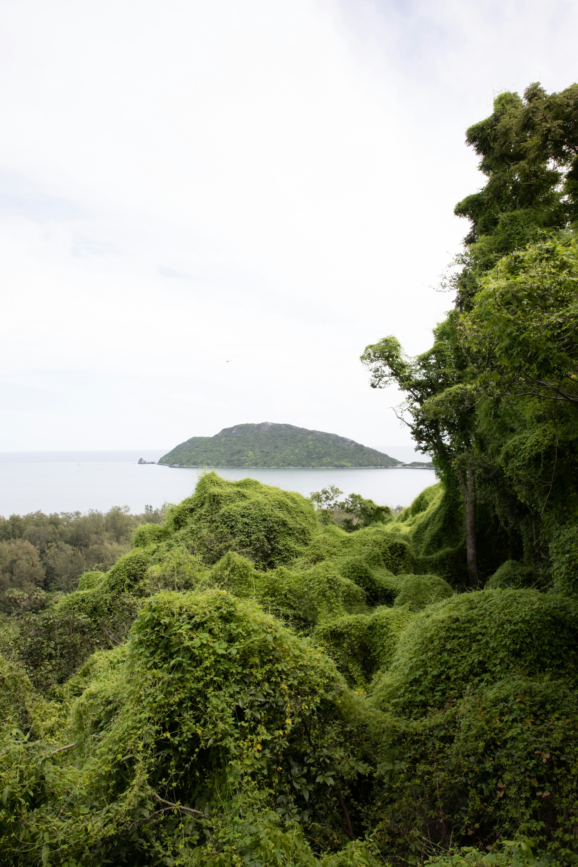 Emerald Islet on a Calm Horizon