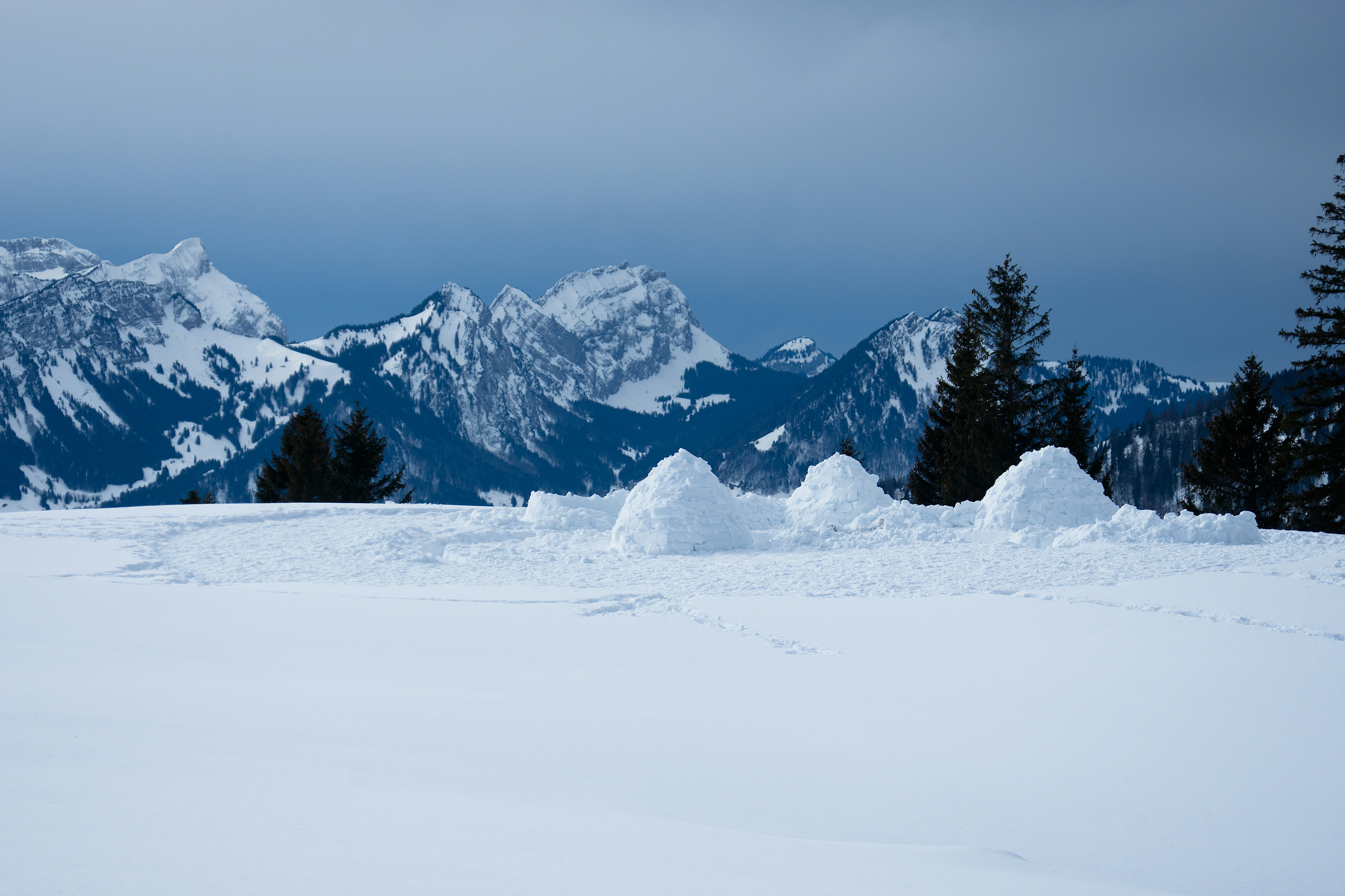 Snow-covered mountains with igloo-like mounds and evergreen trees under a moody sky.