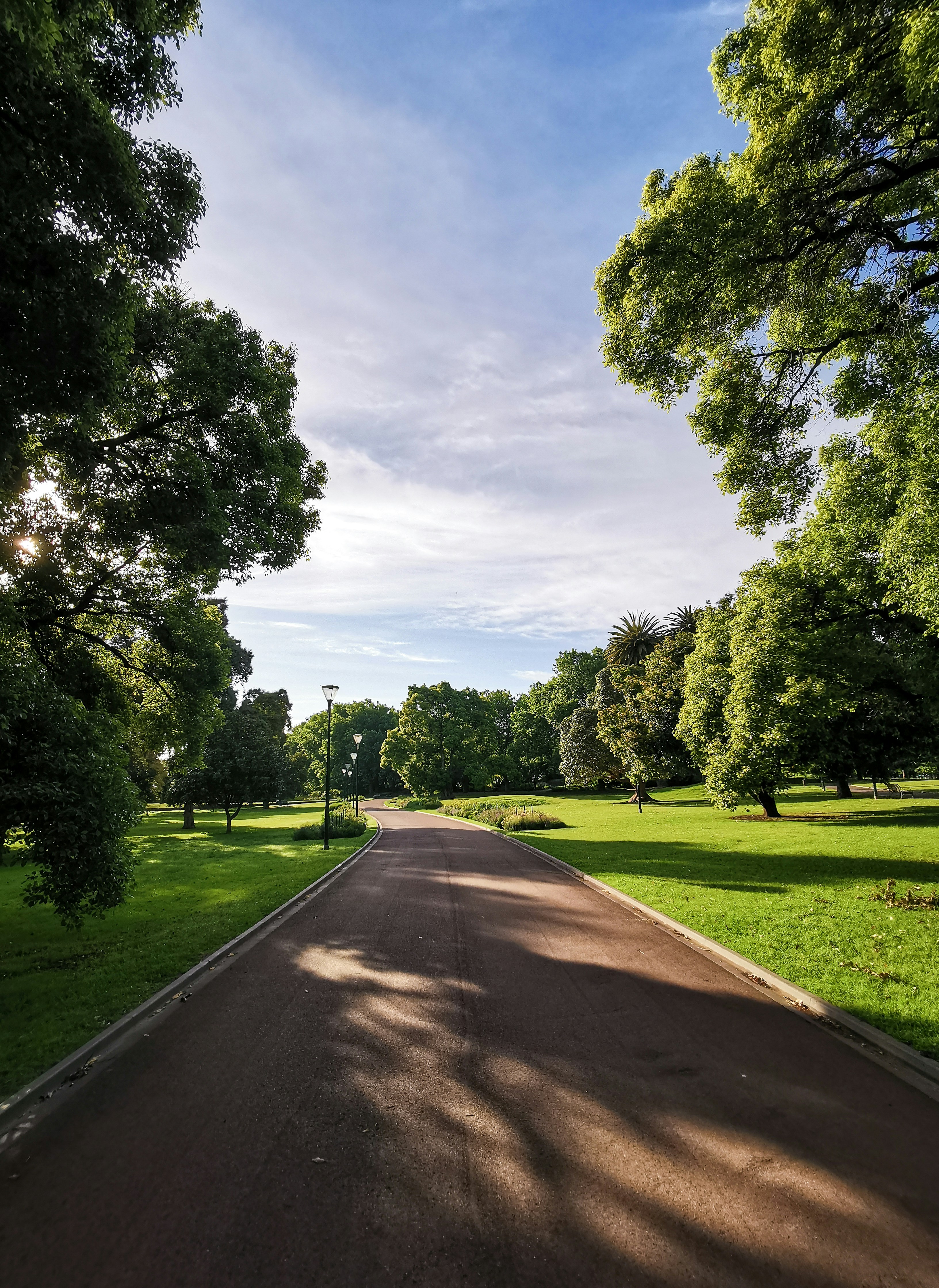 A serene park pathway lined with lush greenery and trees under a clear sky, inviting strolls and relaxation.