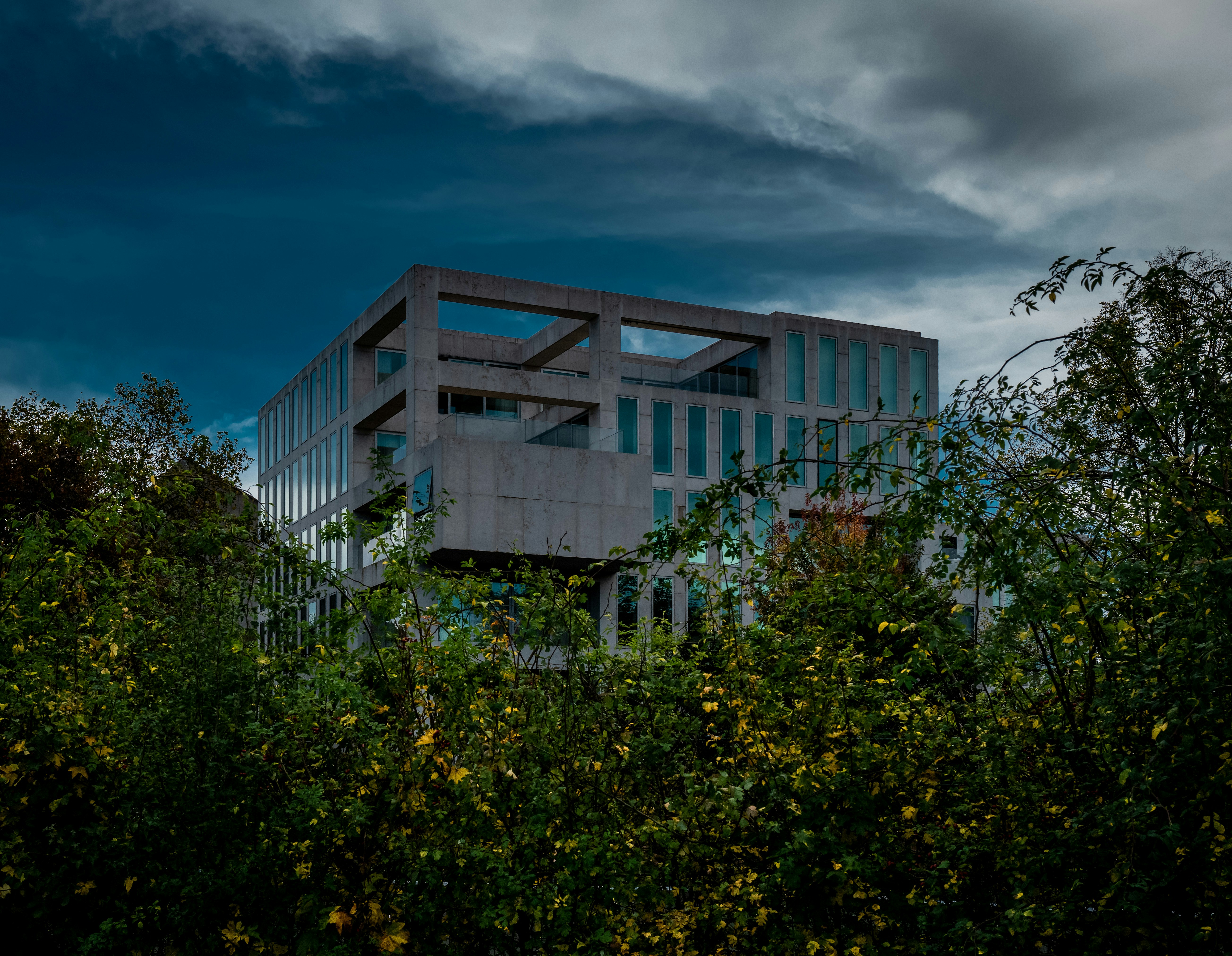 Ominous Pictures | Download Free Images on Unsplash