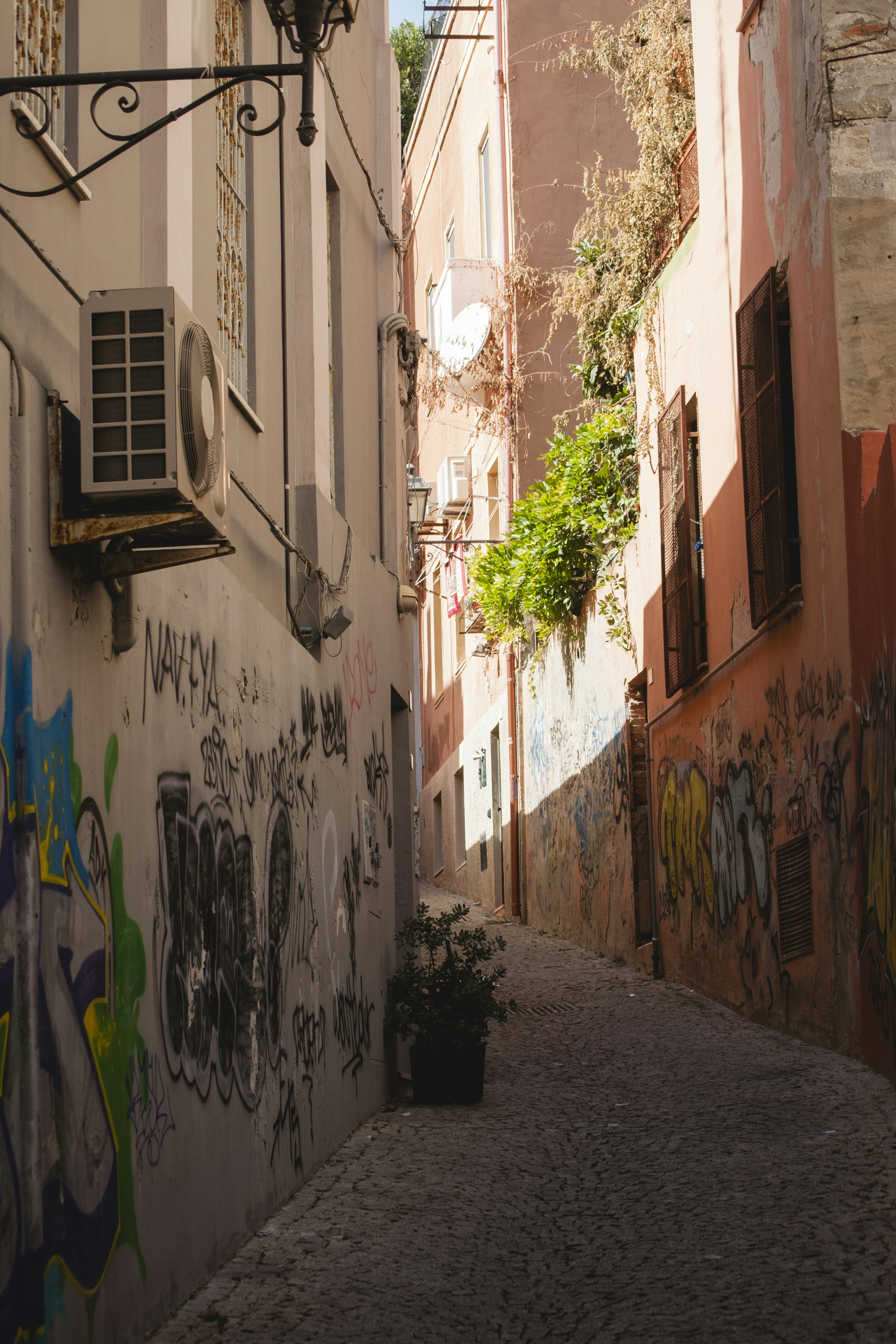 Narrow alleyway adorned with vibrant graffiti and a potted plant, capturing the essence of urban life. Sunlight filters through, illuminating the textured walls.