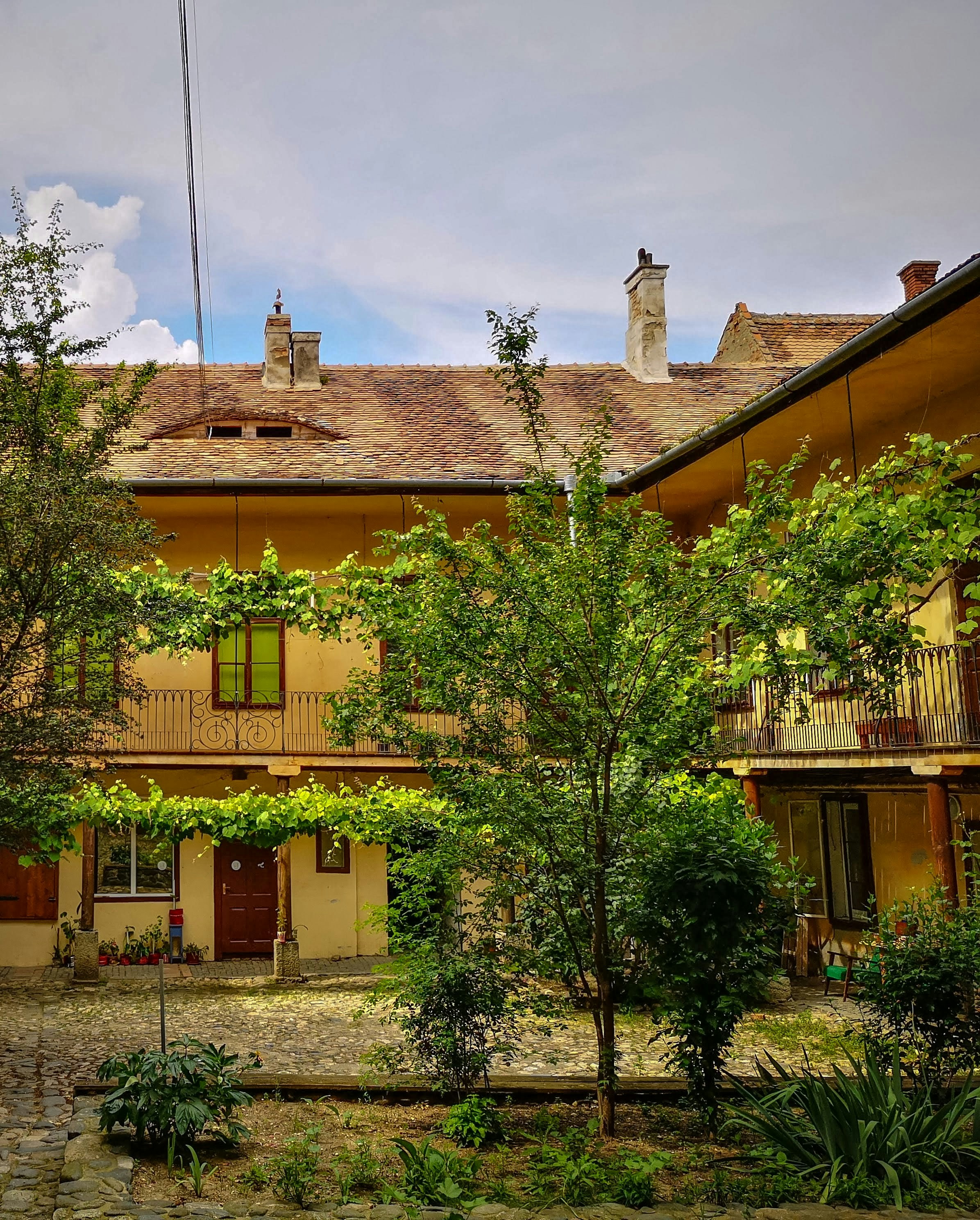Charming courtyard with vibrant greenery and rustic architecture, showcasing a blend of nature and heritage.