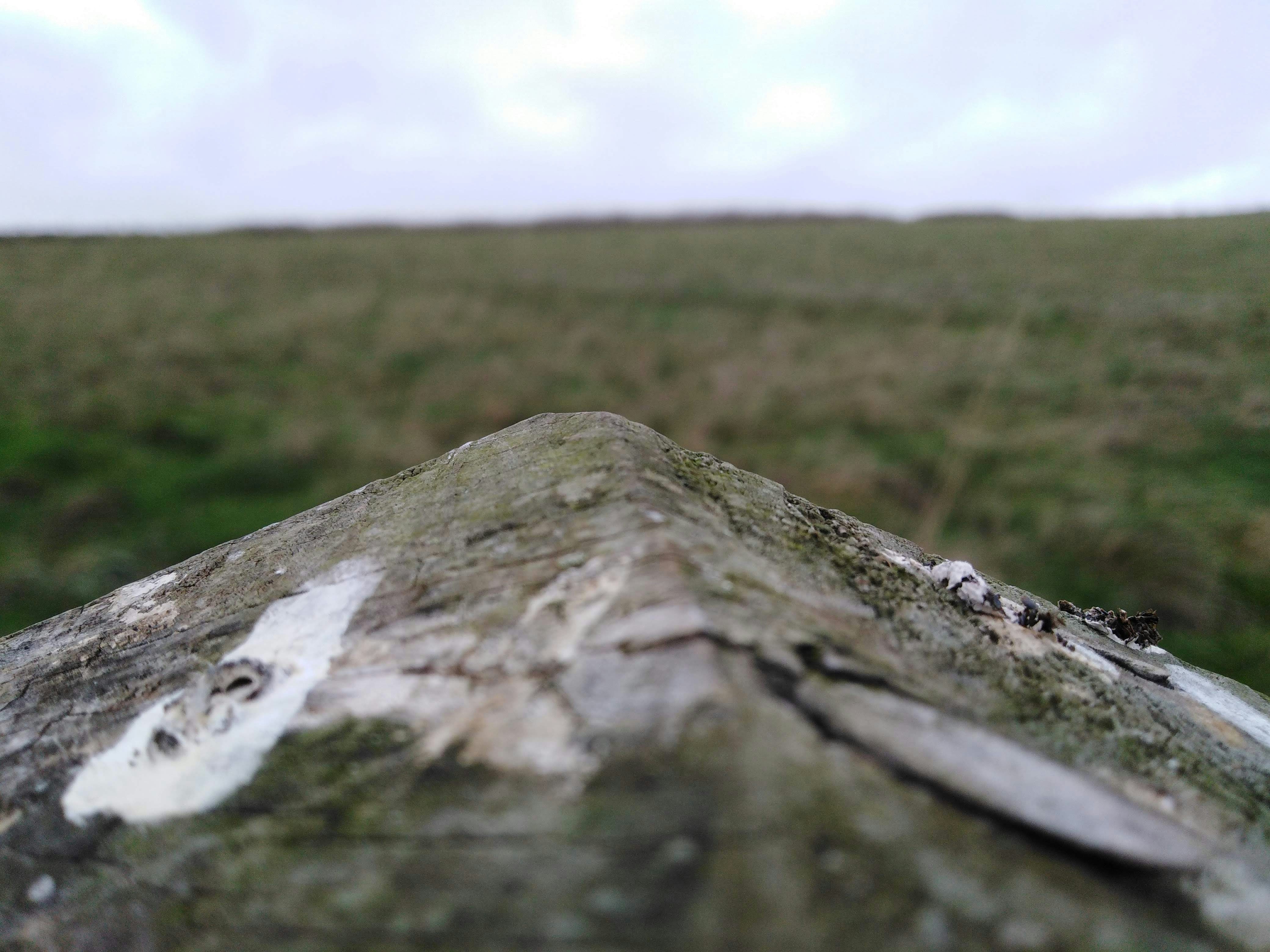 Project signpost | 2 best free signpost, wood texture, sign and plant ...