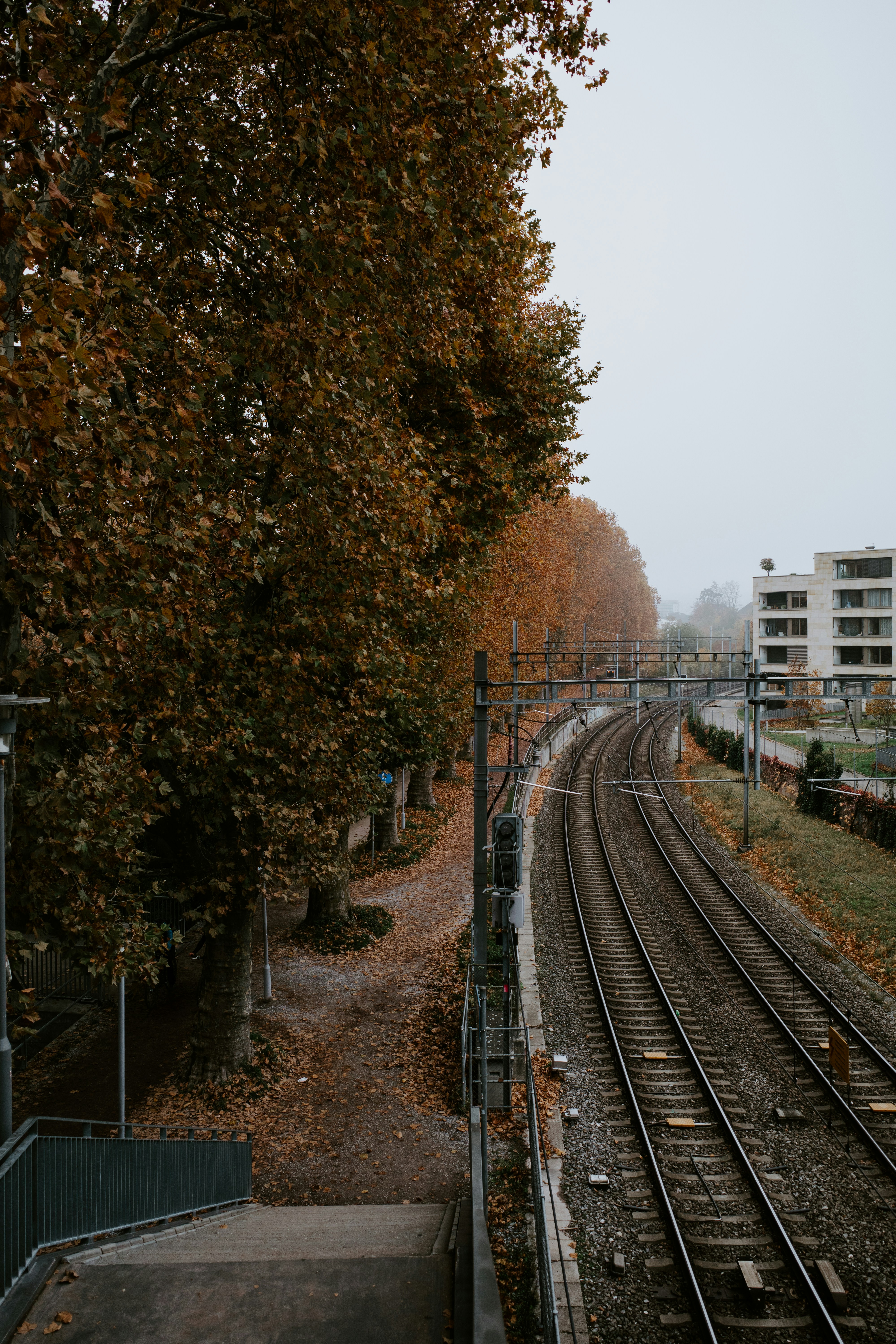 Curved railway tracks lined with vibrant autumn foliage, leading through a tranquil urban landscape. The scene captures the essence of a quiet fall day.